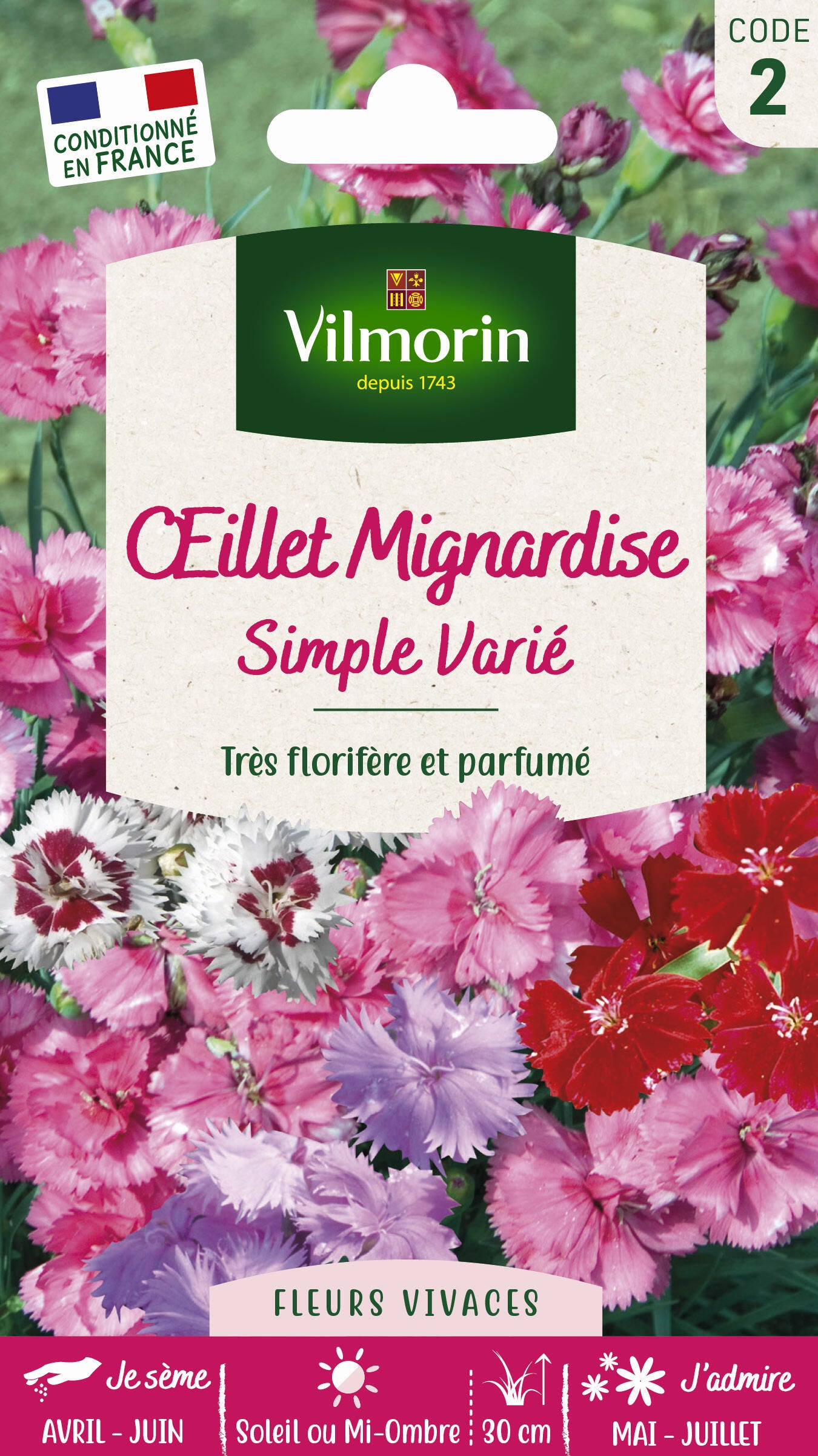Oeillet mignardise simple varié | Leroy Merlin