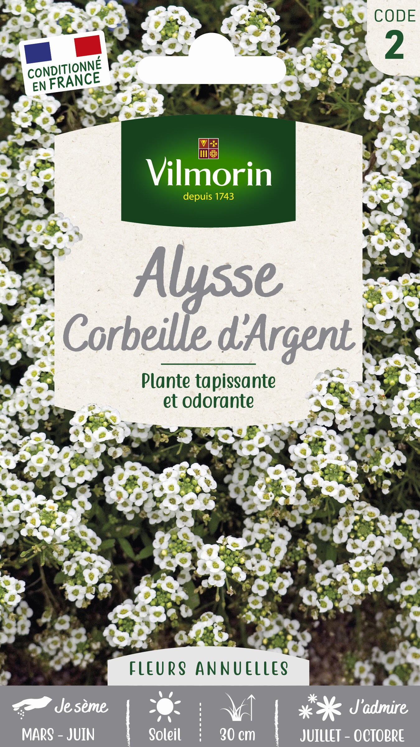 Alysse corbeille d'argent VILMORIN 1 g | Leroy Merlin