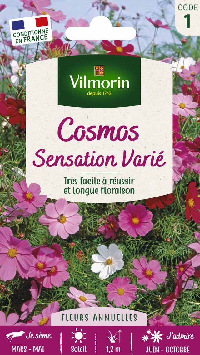 Cosmos graines au meilleur prix | Leroy Merlin