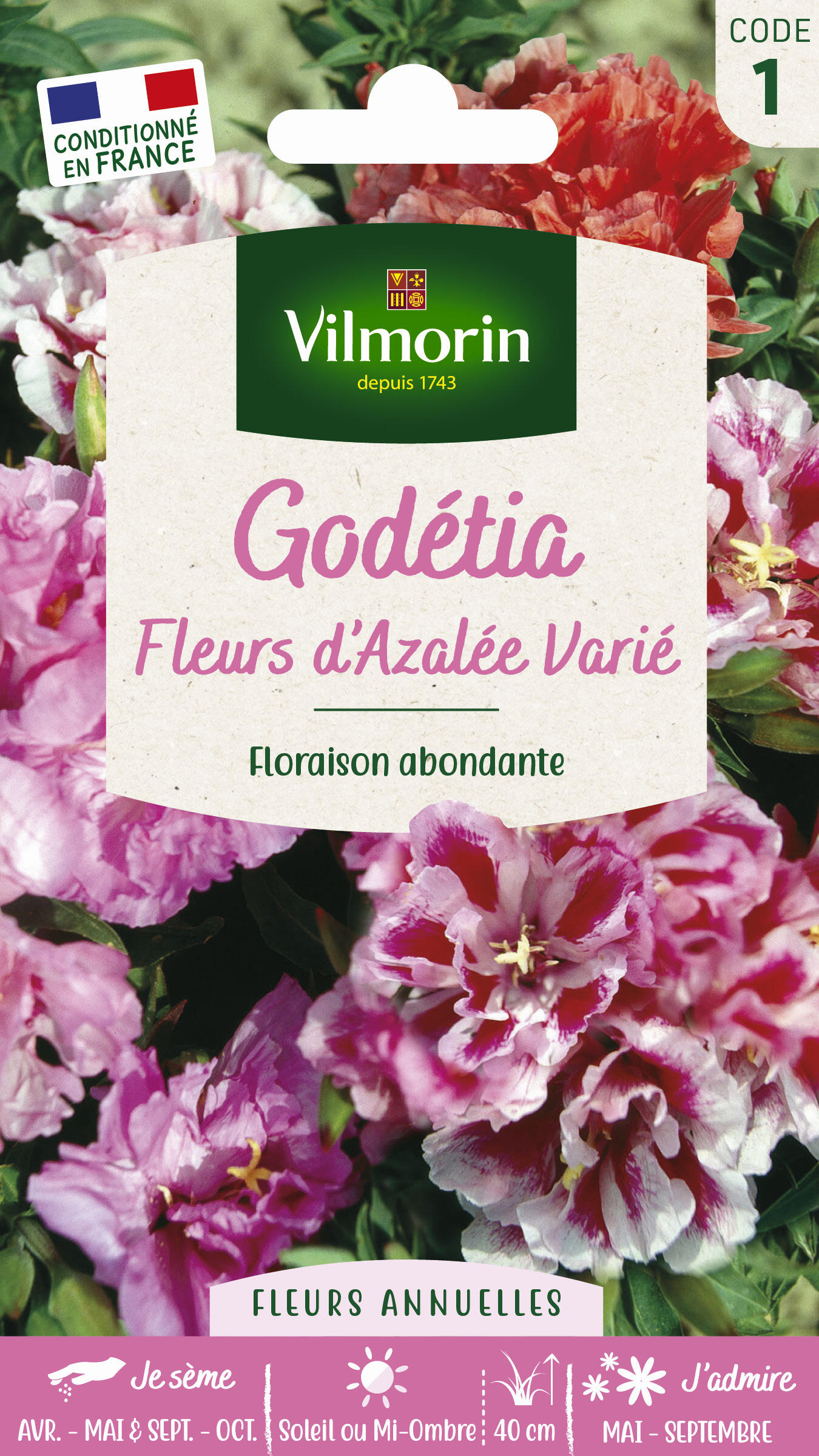 Godetia double à fleurs d'azalée varié | Leroy Merlin