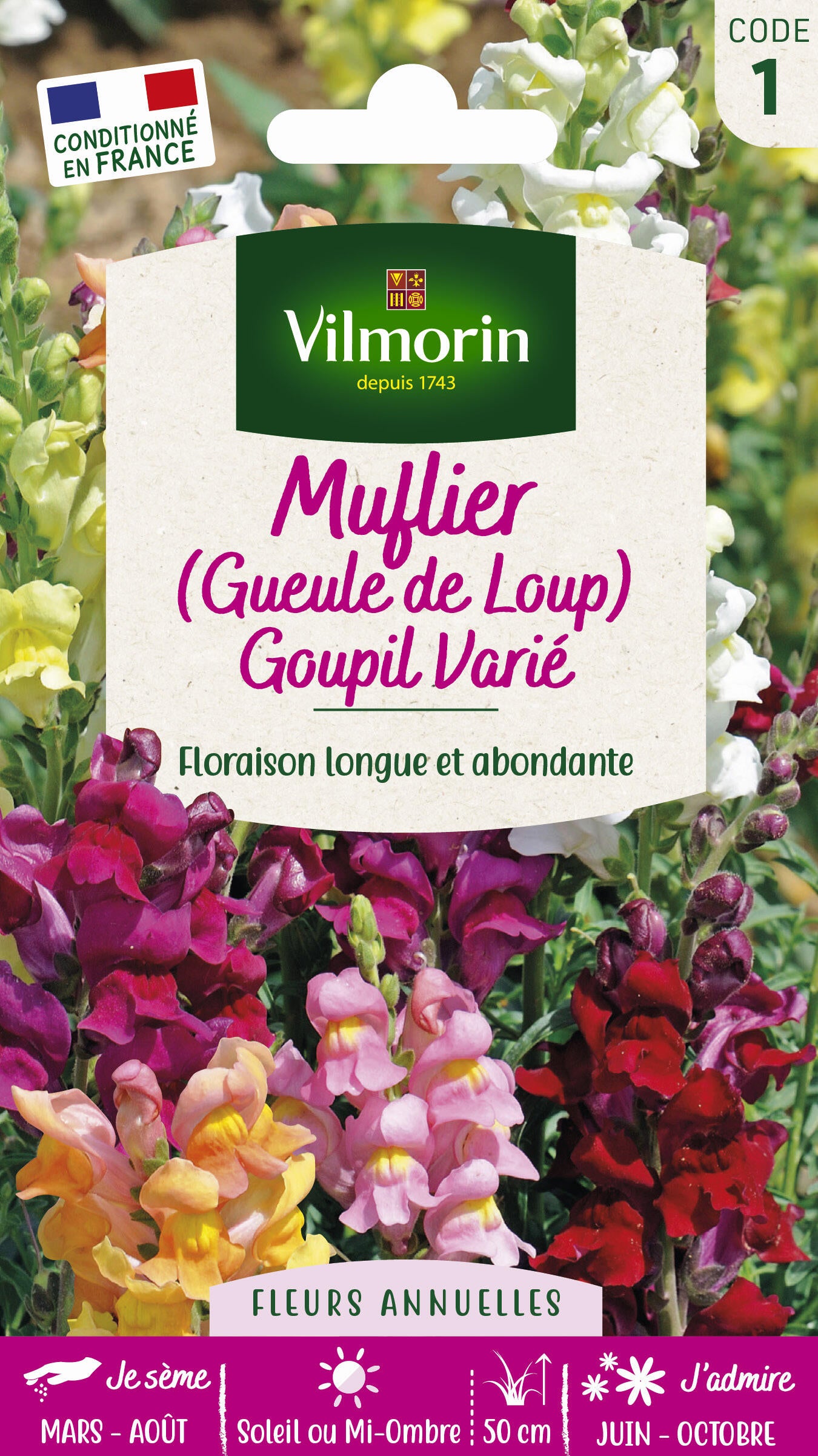 Muflier goupil multicolore | Leroy Merlin