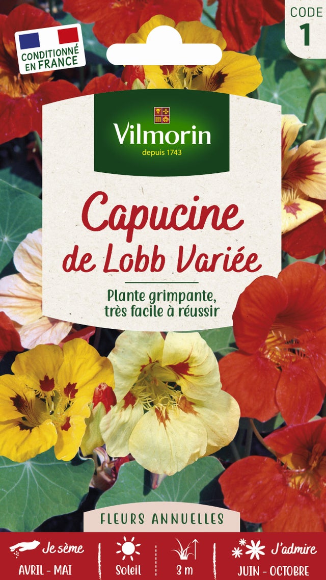 Jardin capucine au meilleur prix | Leroy Merlin