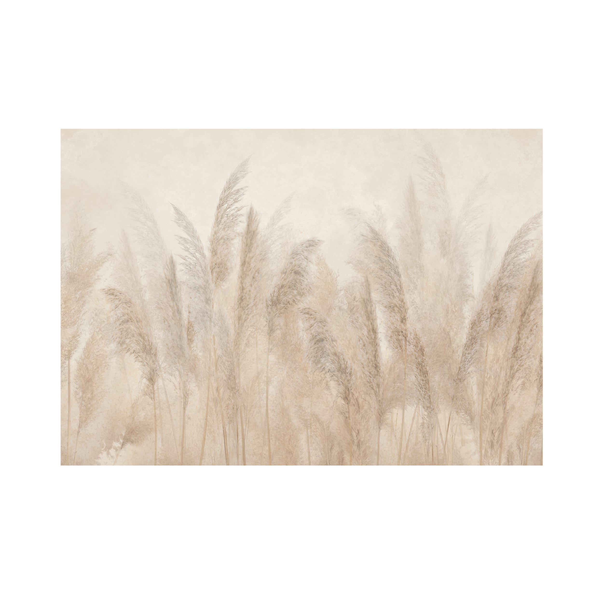 Mural Pampas 400 x 280 cm struktura płótna - Leroy Merlin Mural Pampas 400 x 280 cm struktura płótna - Leroy Merlin