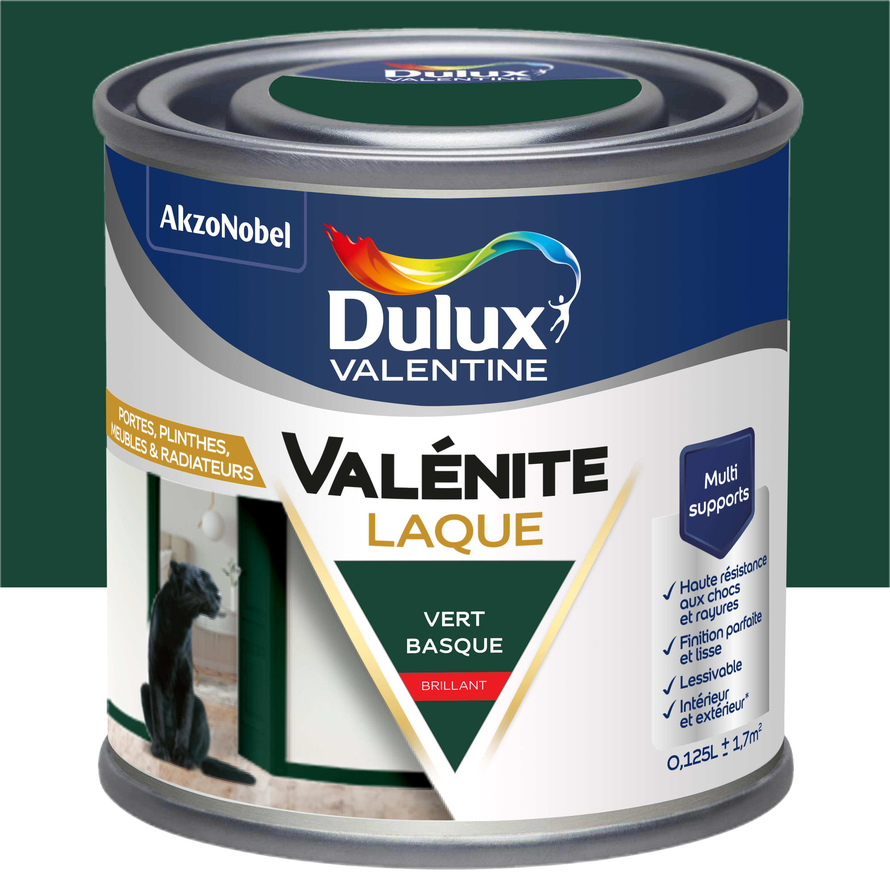 Peinture boiserie, radiateur vert basque brillant DULUX VALENTINE ...