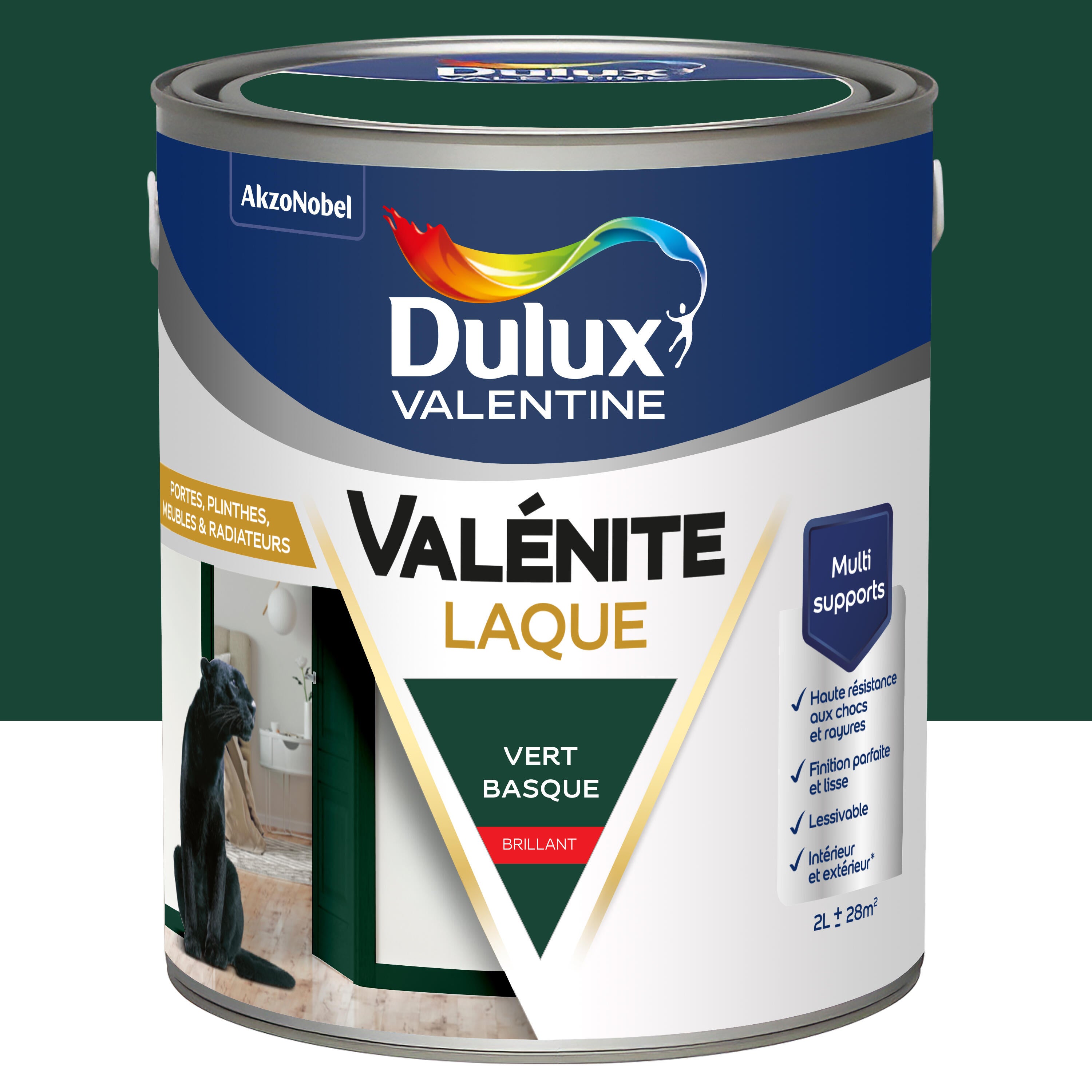 Peinture boiserie, radiateur vert basque brillant DULUX VALENTINE ...