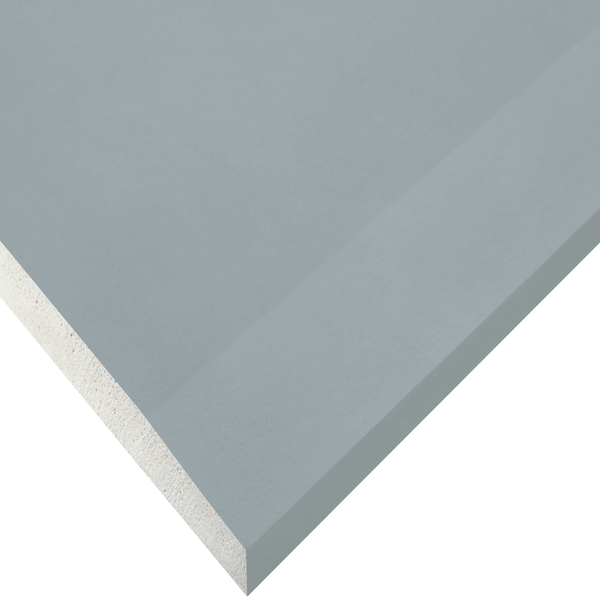 Plaque de plâtre PLACO BA13 haute densité Habito 250 x 120 cm | Leroy ...