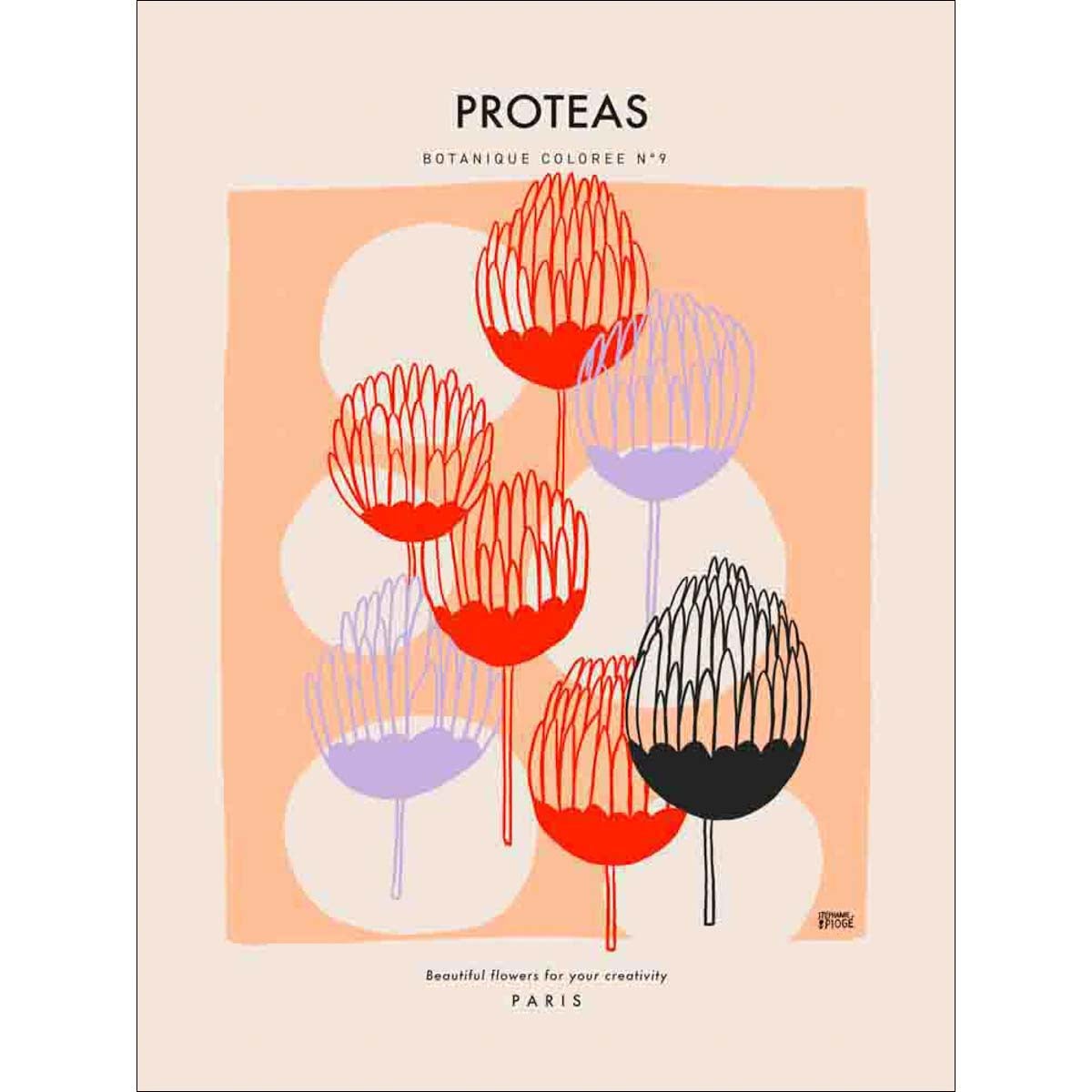 Affiche Proteas, assorti BLUE ART l.80 x H.60 cm | Leroy Merlin
