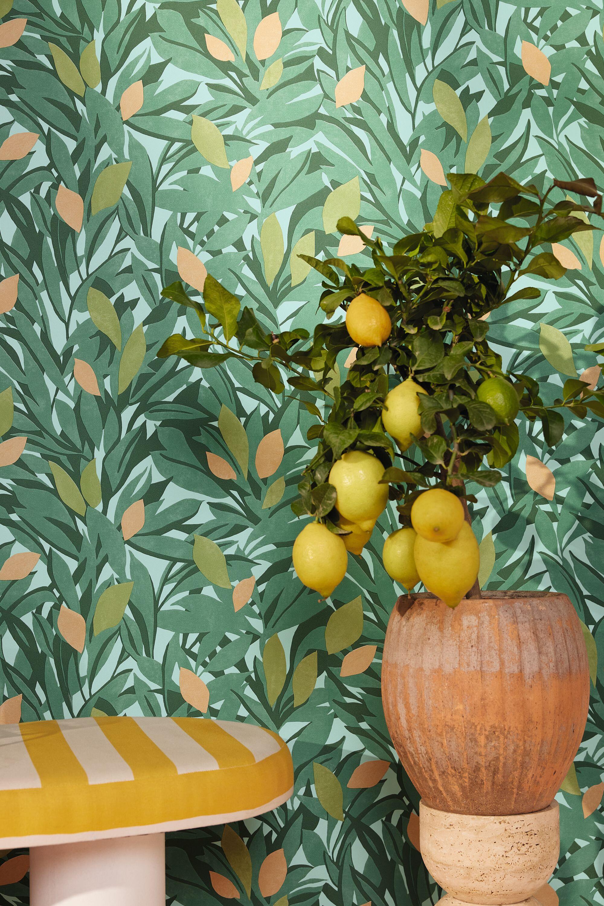 Papier peint intissé Azur aix cassis et vert mousse | Leroy Merlin