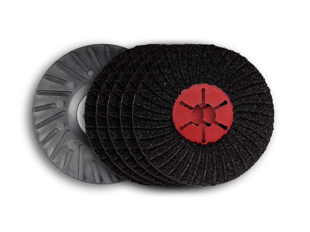 Disque abrasif + plateau Diam.125 mm Lot de 5 - SEA | Bricoman