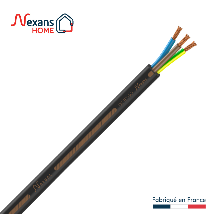 Câble électrique 3 G 10 mm² u1000r2v L.1 m | Leroy Merlin