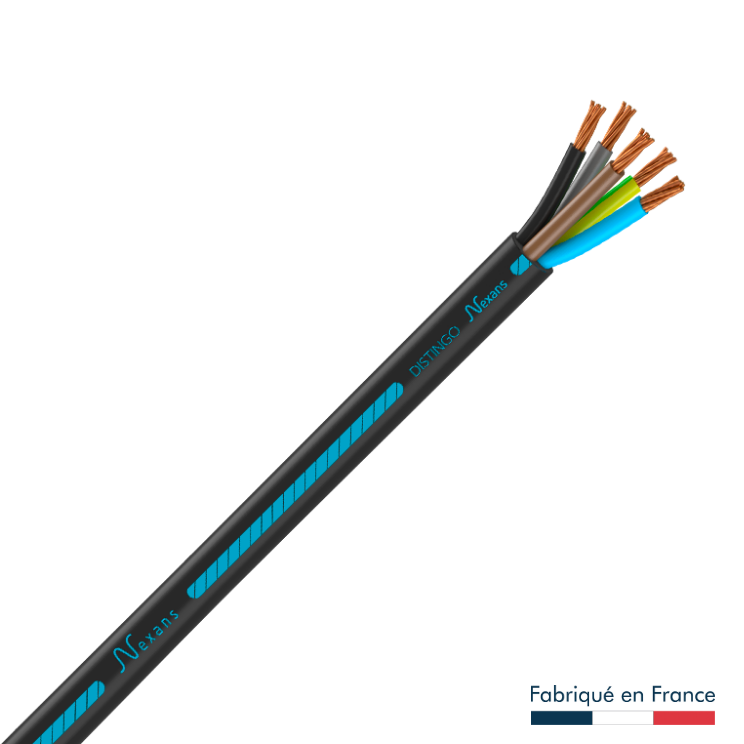 Câble U1000 R2V 5G 6mm², en couronne de L.50 m | Leroy Merlin