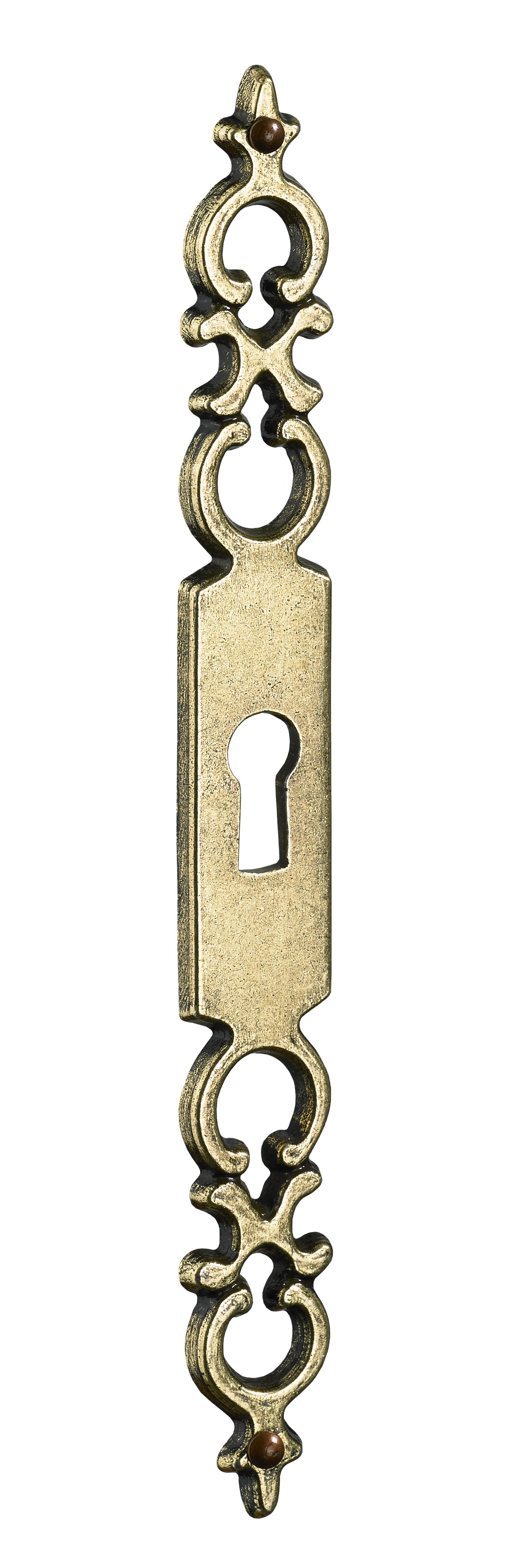 Cache serrure laitonné bruni | Bricoman