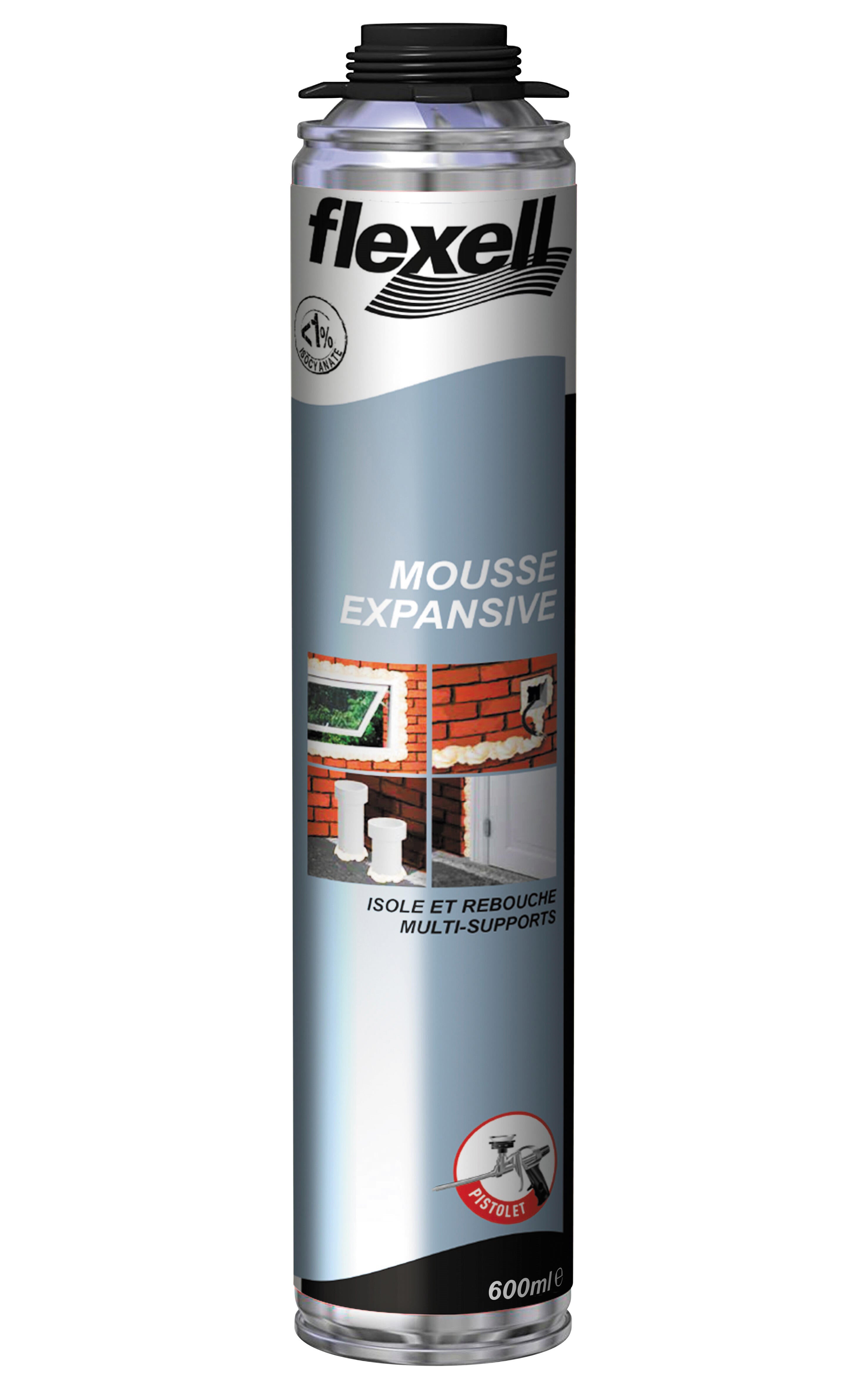 Mousse Expansive Bricoman