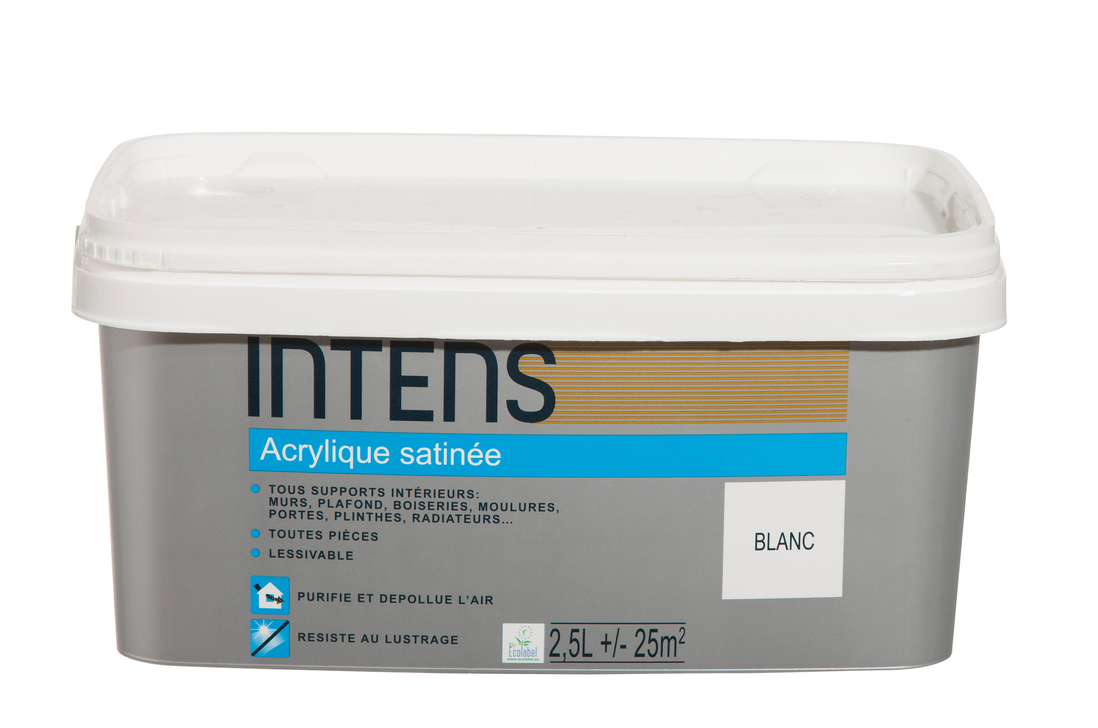 Peinture acrylique satin vert pistache monocouche | Bricoman