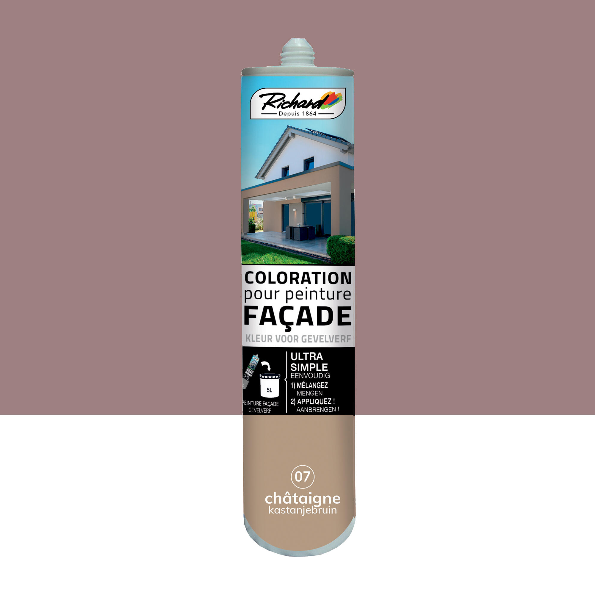 Colorant peinture façade RICHARD 300 ml châtaigne 07 | Leroy Merlin