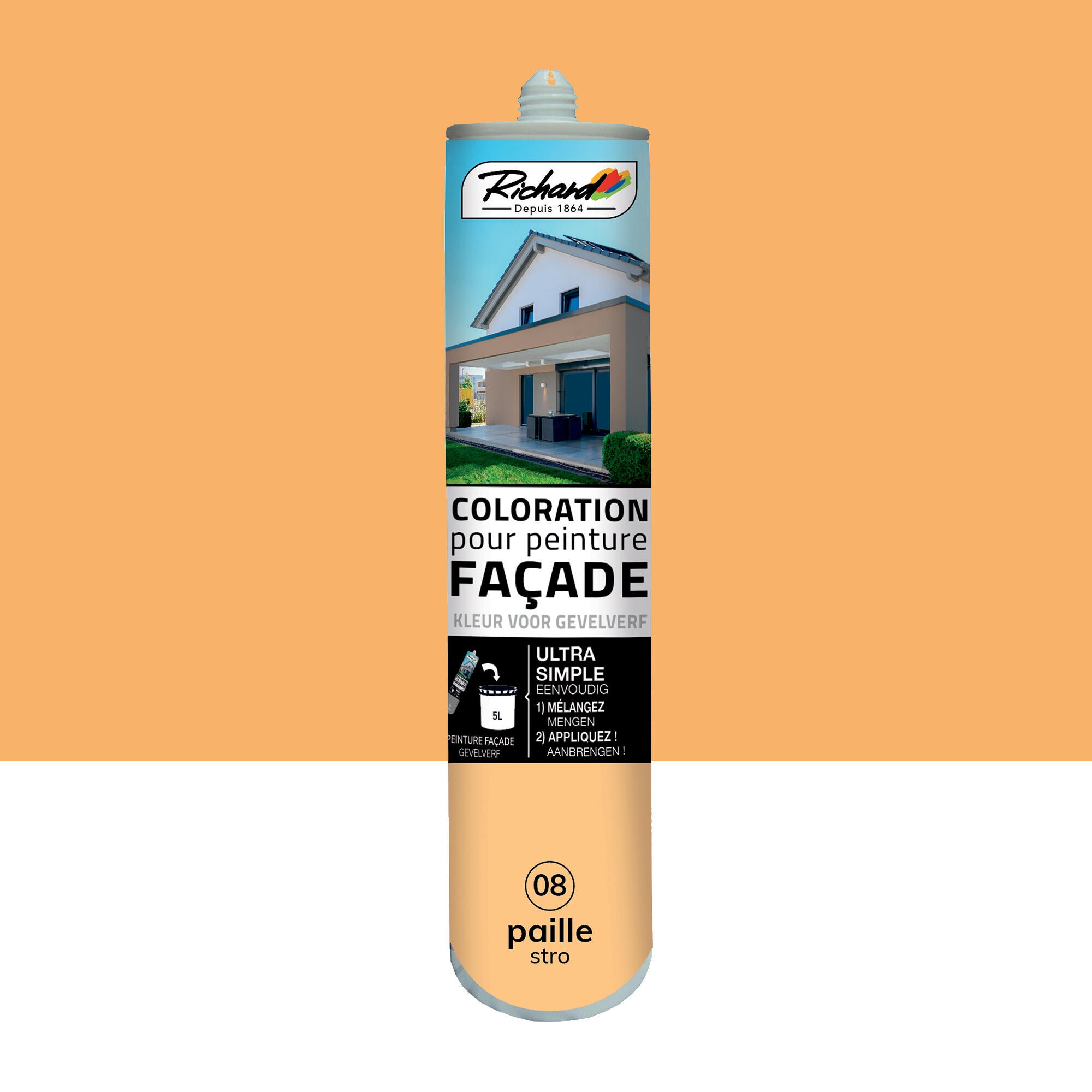 Colorant peinture façade RICHARD 300 ml paille 08 | Leroy Merlin