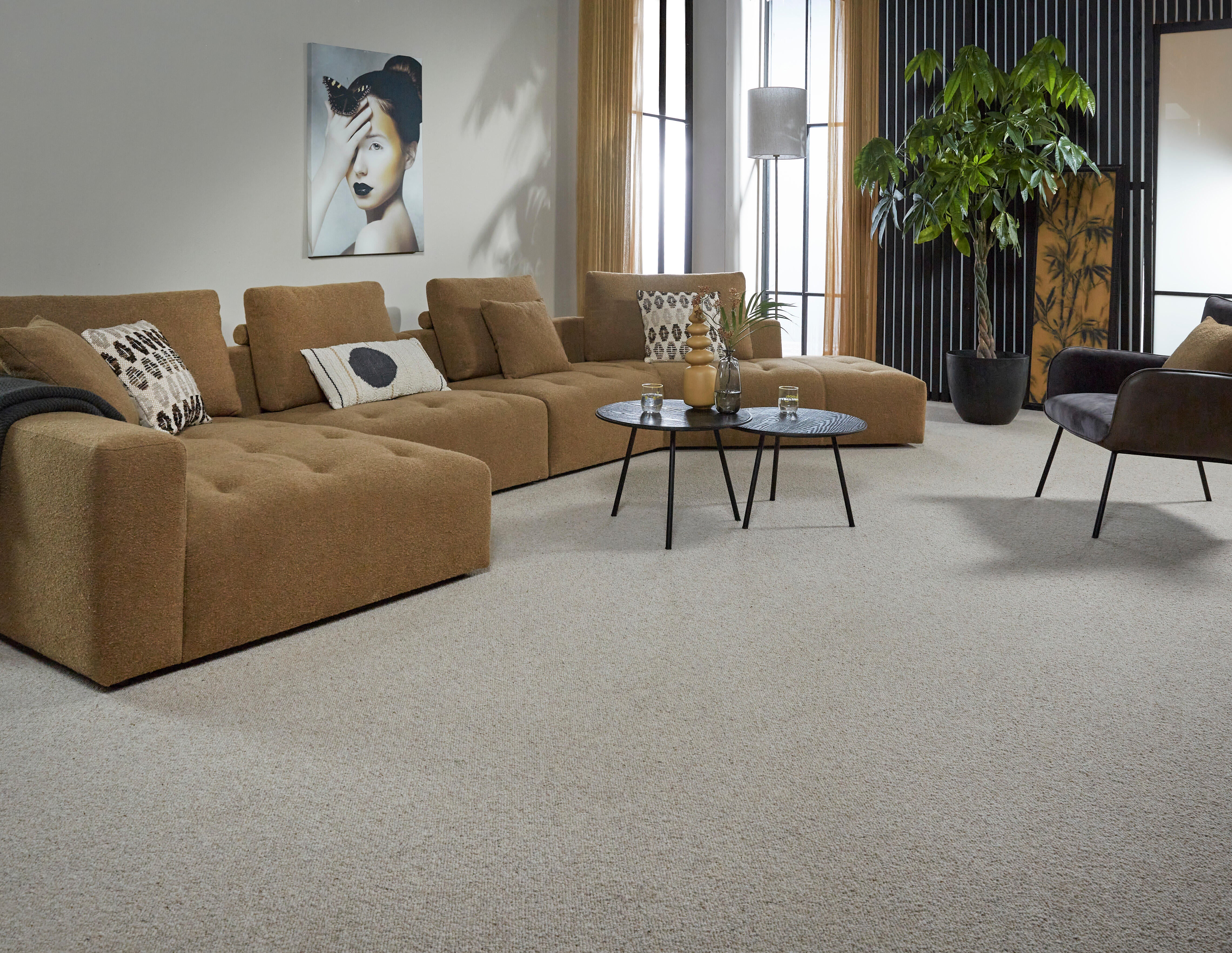 Moquette laine uni beige, rouleau l.4 m | Leroy Merlin