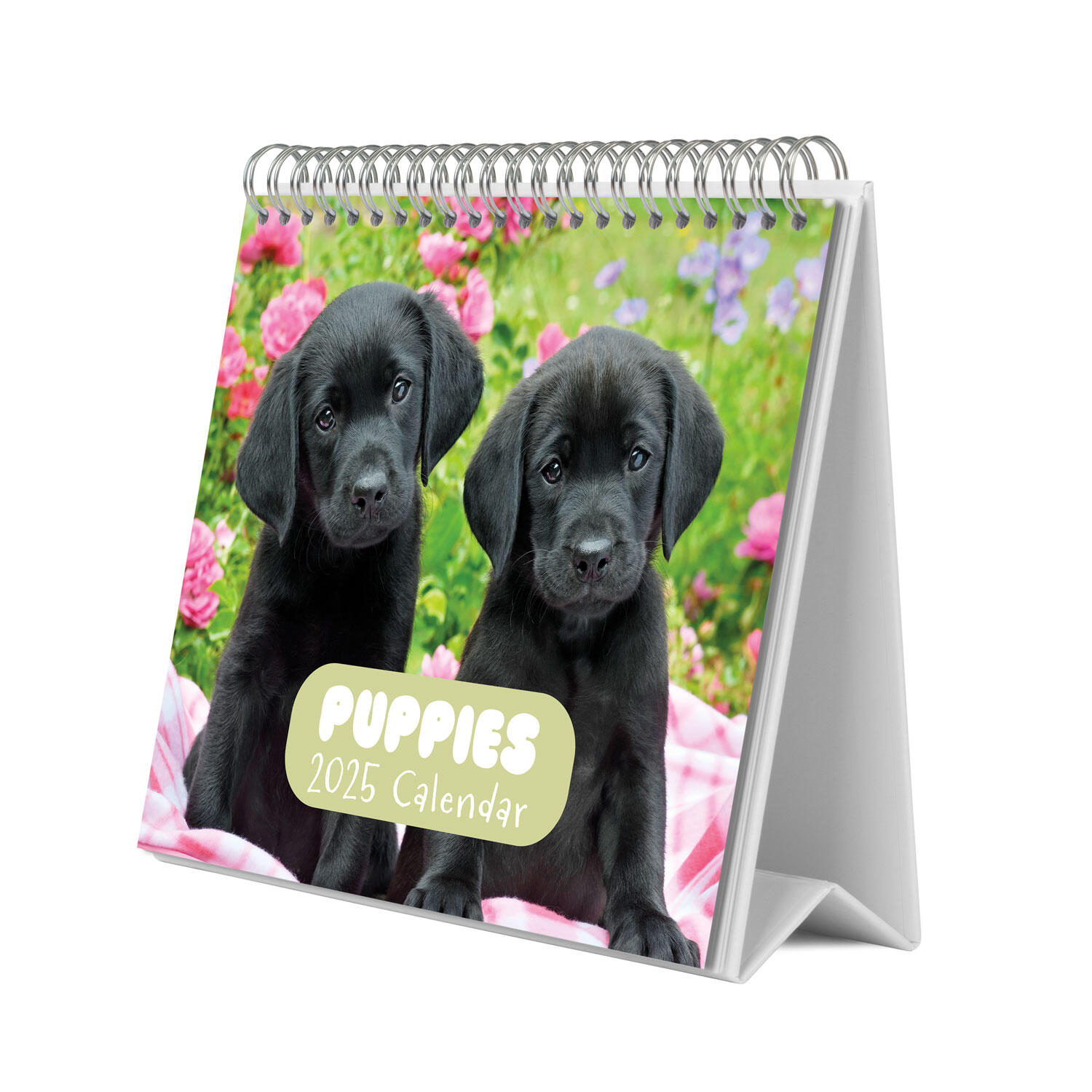 Calendario da scrivania 2025 dogs simon | Leroy Merlin