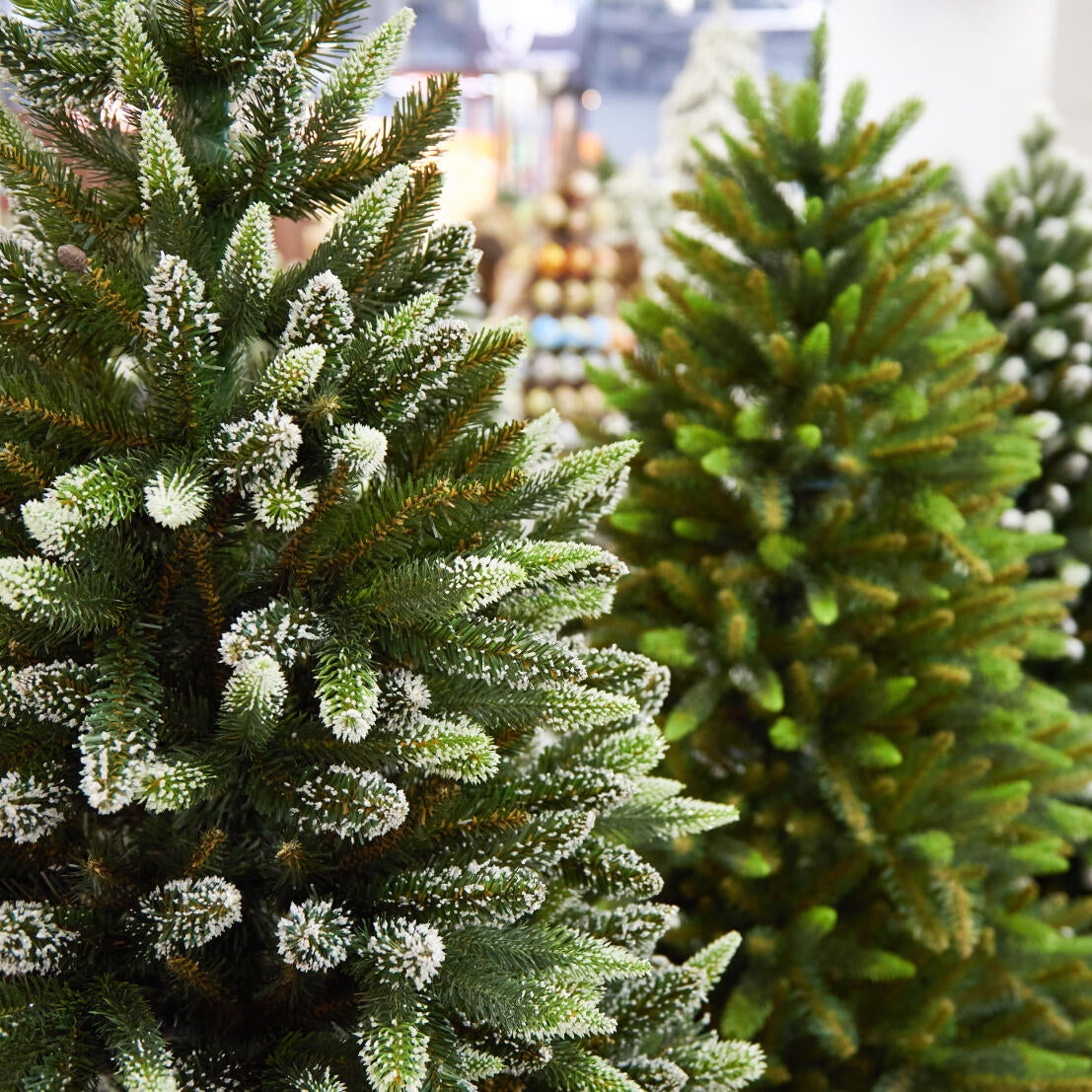 Alberi di natale | Leroy Merlin