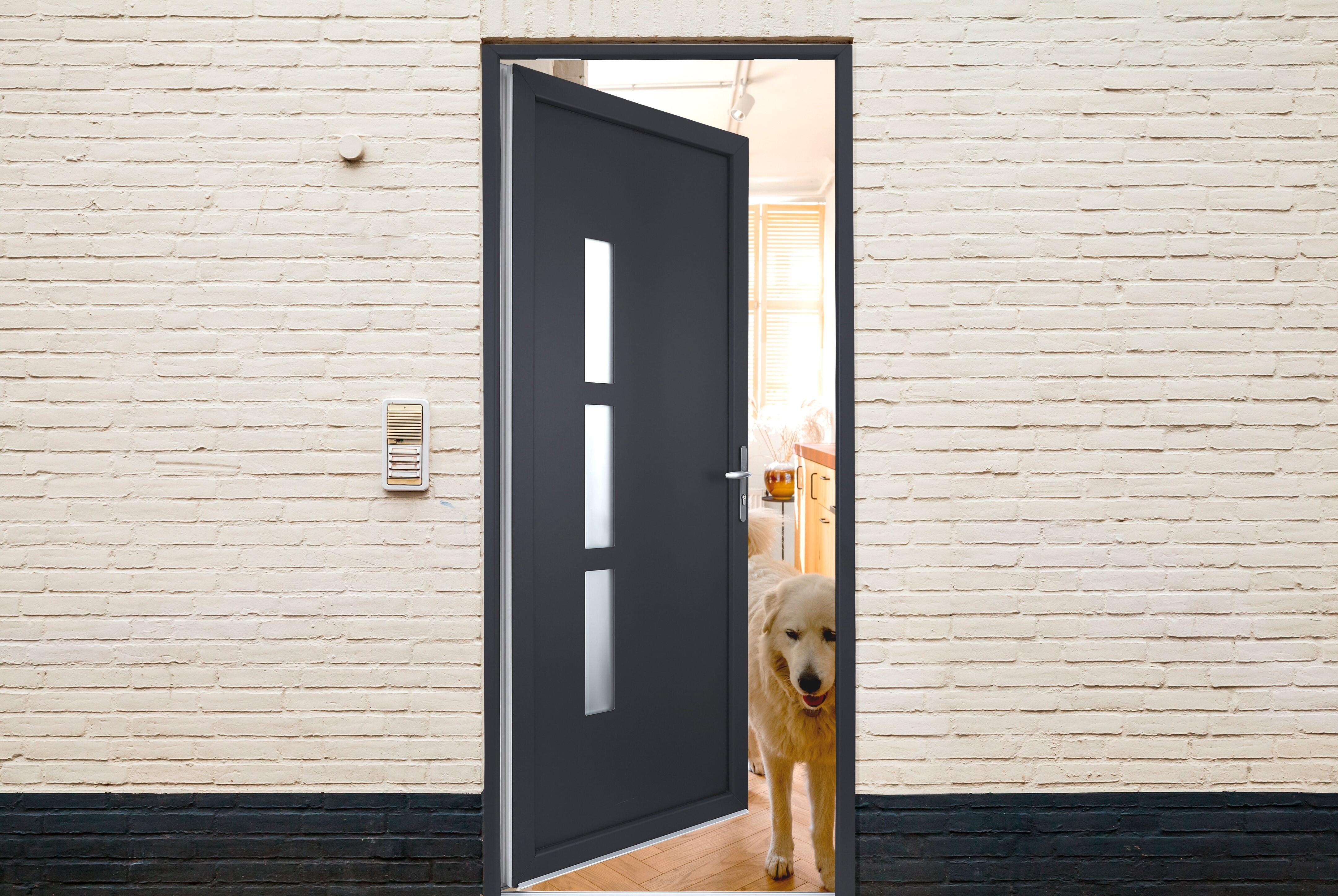 Porte d'entrée PVC Londres H.215 x l.90 cm poussant gauche gris ...
