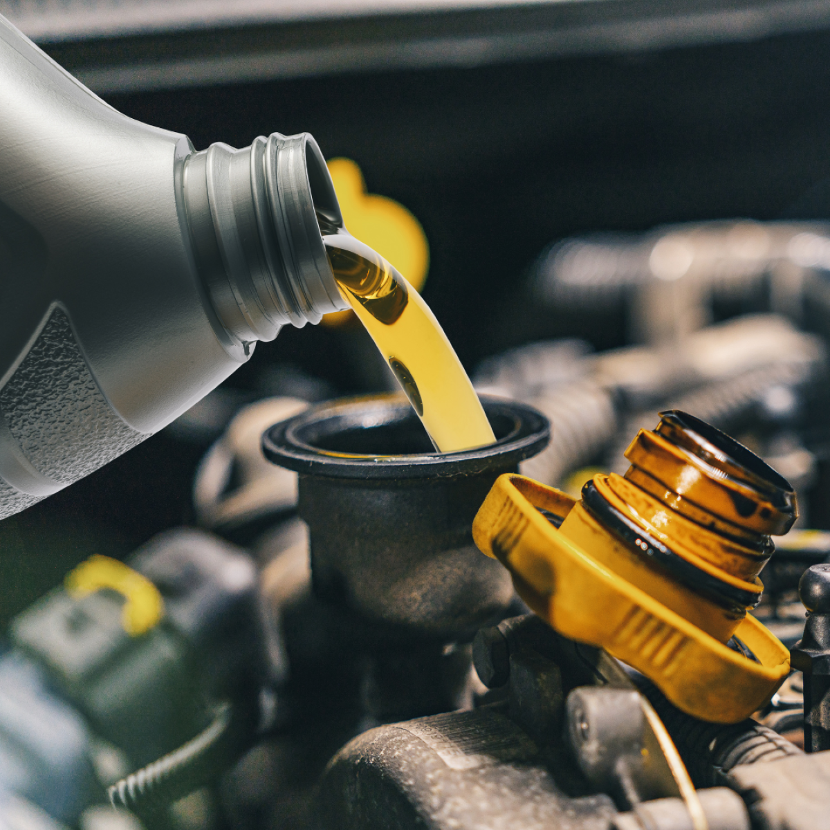 Olio per motore | Leroy Merlin