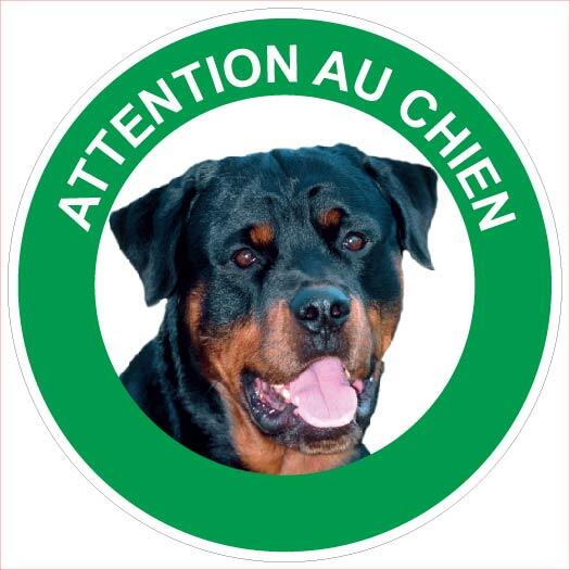 W-DISQUE 180 ATTENTION CHIEN ROT | Leroy Merlin