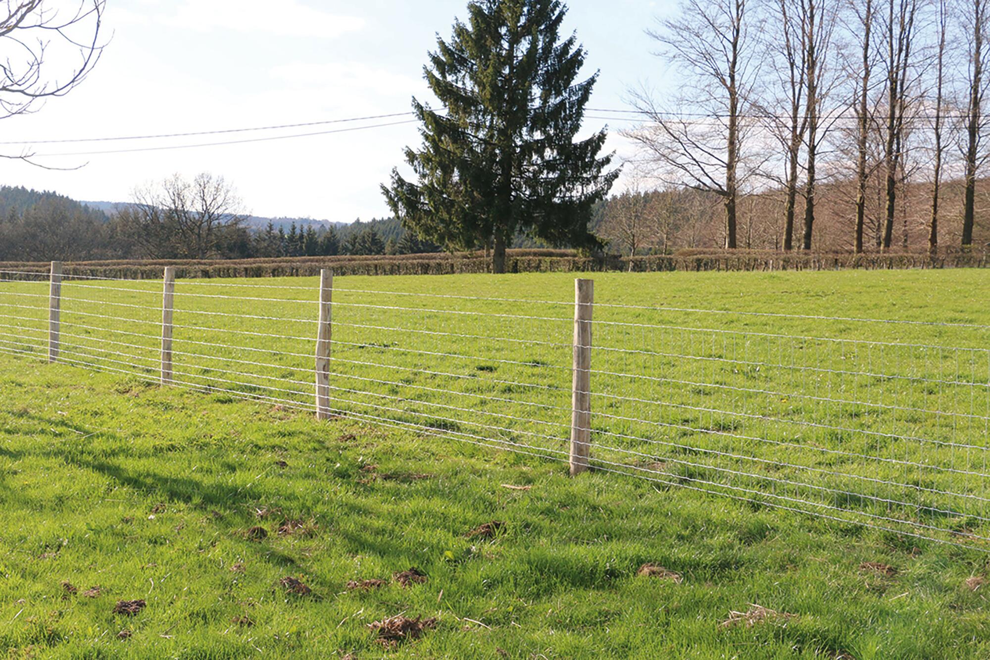 Treuil manuel à levier FARTOOLS, 1000 kg | Leroy Merlin