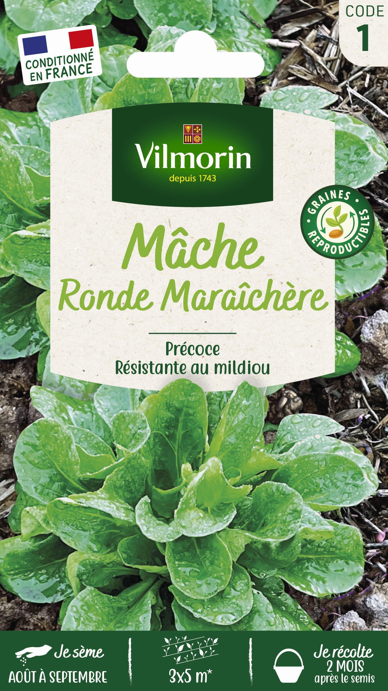Graines de mâche ronde maraîchère VILMORIN 3 g | Leroy Merlin