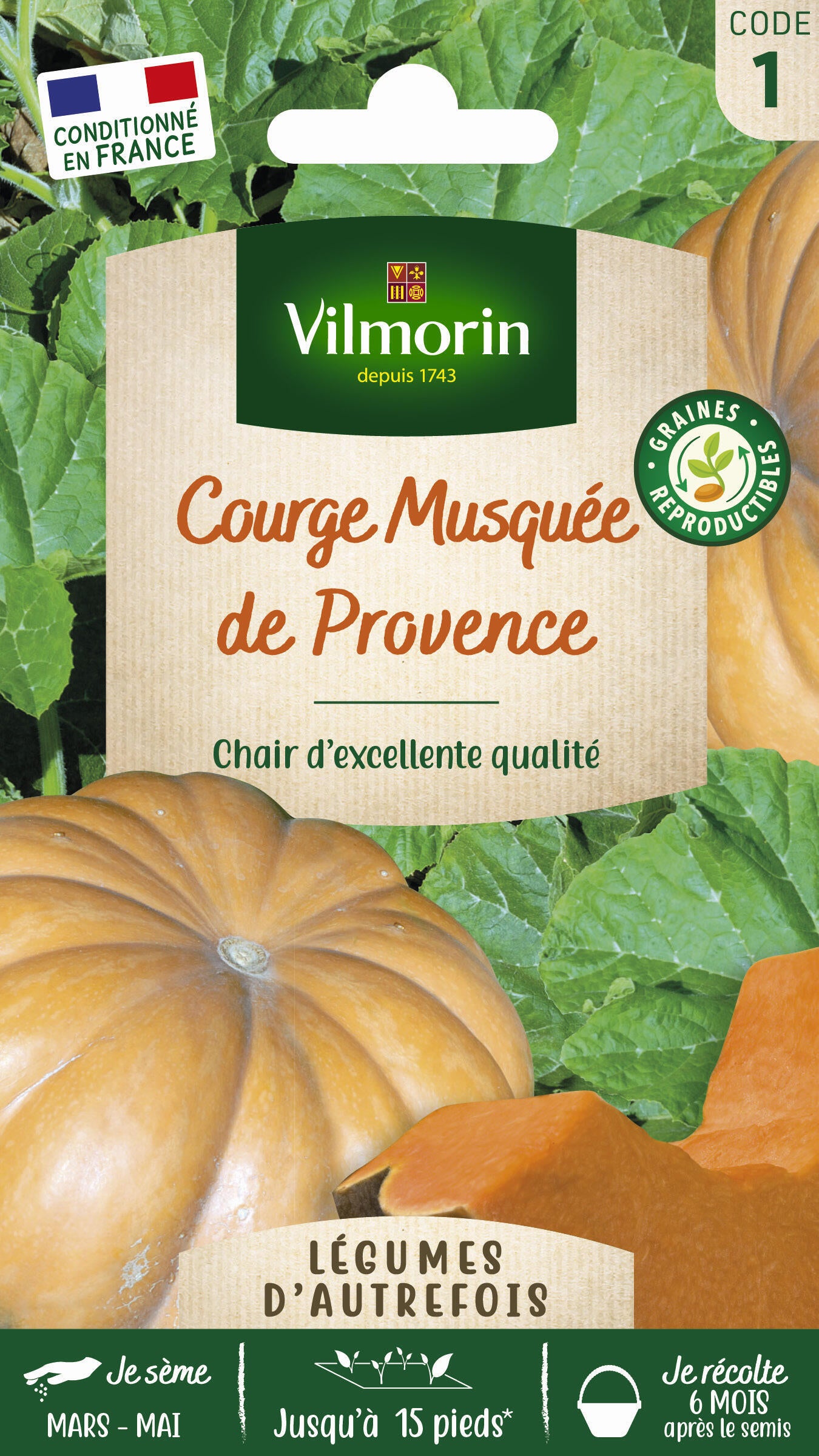 Courge Muscade de Provence série 1 Vilmorin muscade (d'hiver de ...