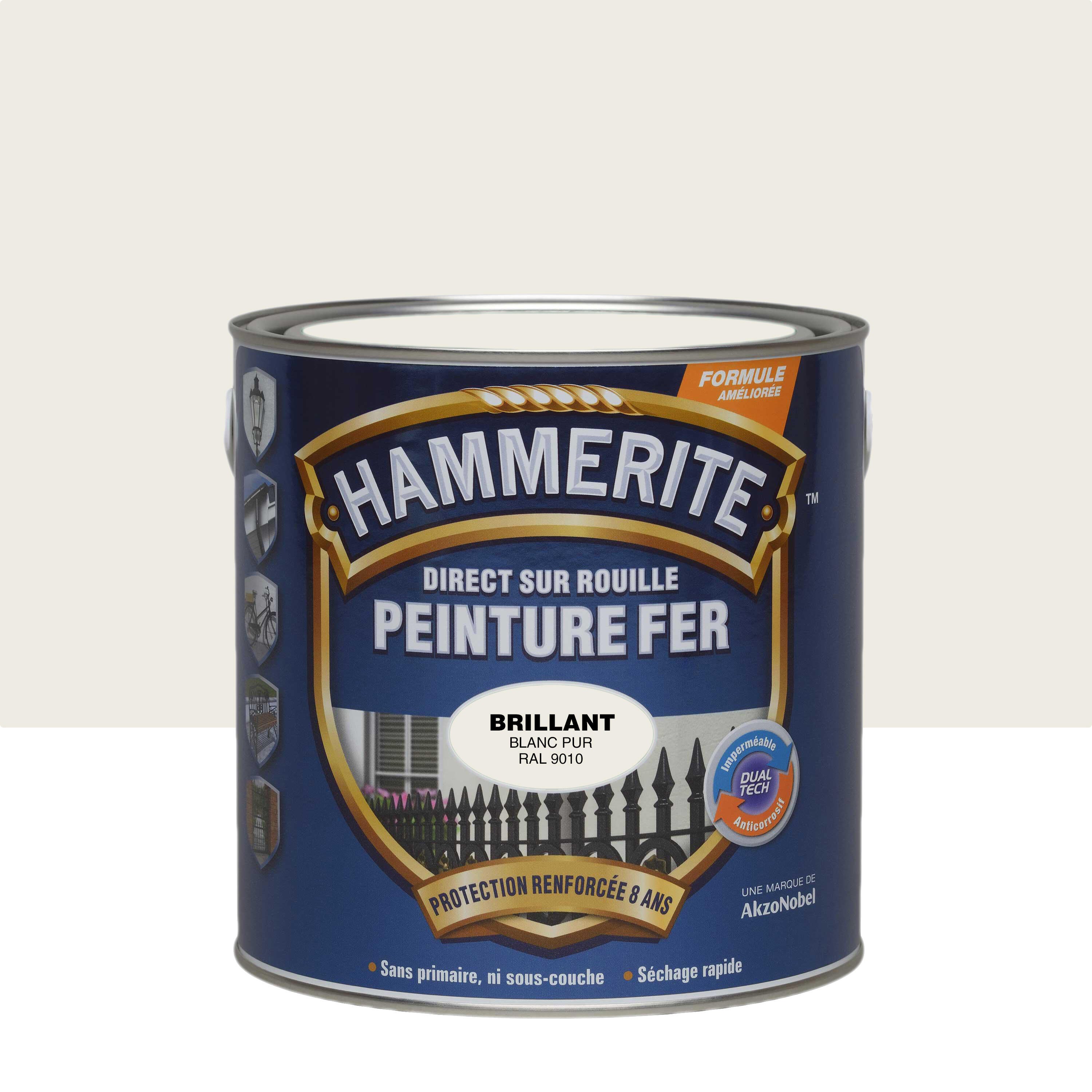 Peinture extérieure fer HAMMERITE blanc pur brillant RAL 9010 2.5l ...