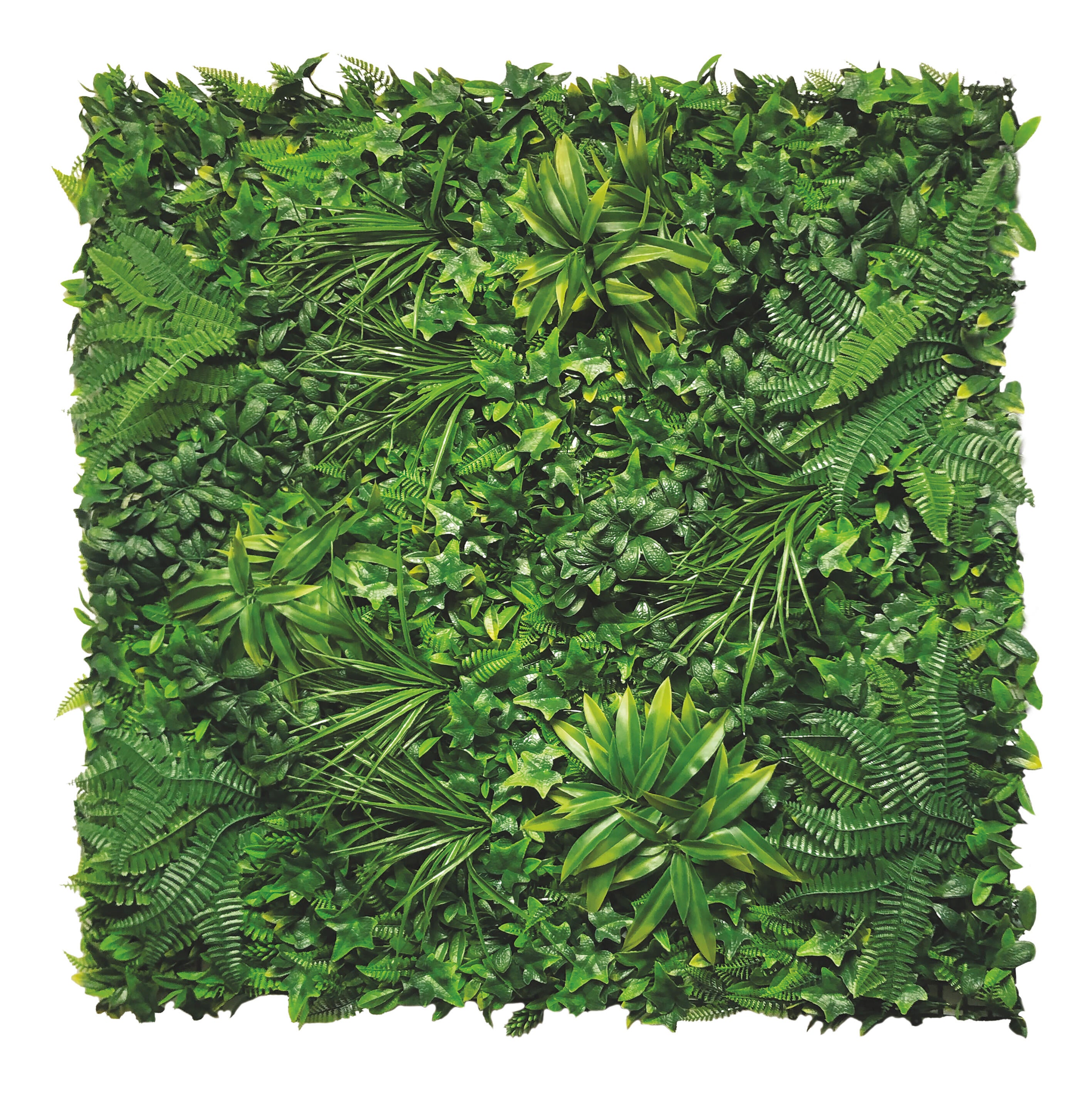 Parete verde artificiale 1X1M- T in polietilene alta densità, verde H 1 ...