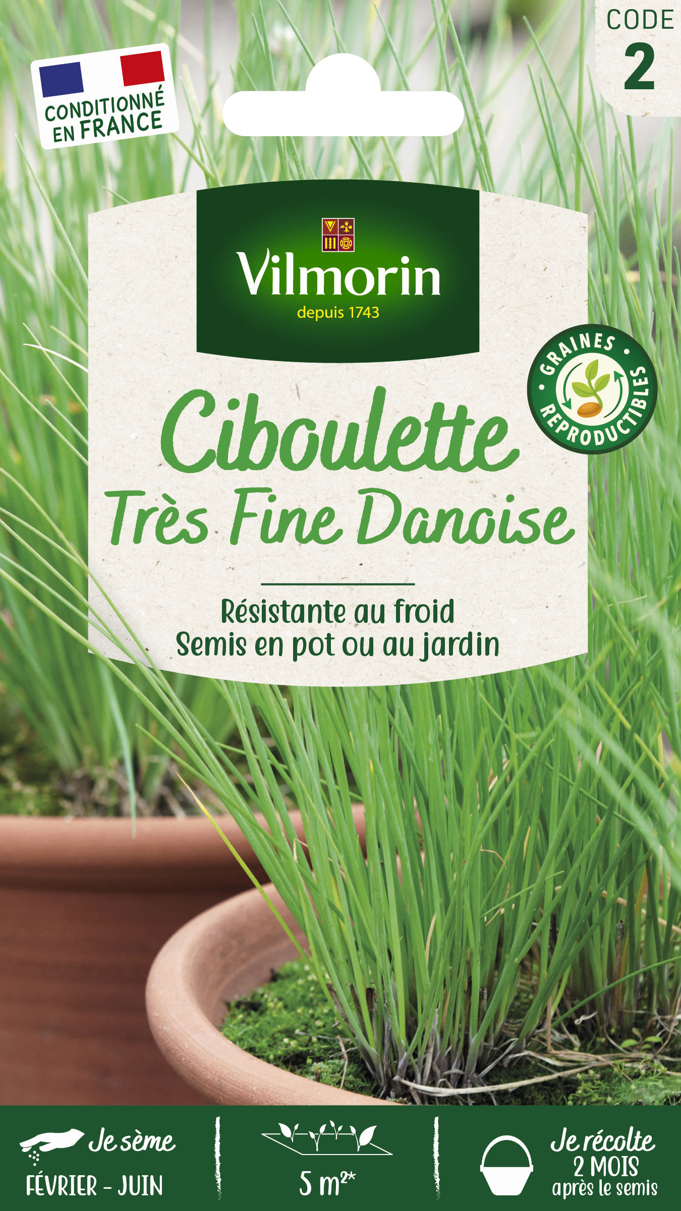 Graines de ciboulette VILMORIN 1.5 g | Leroy Merlin