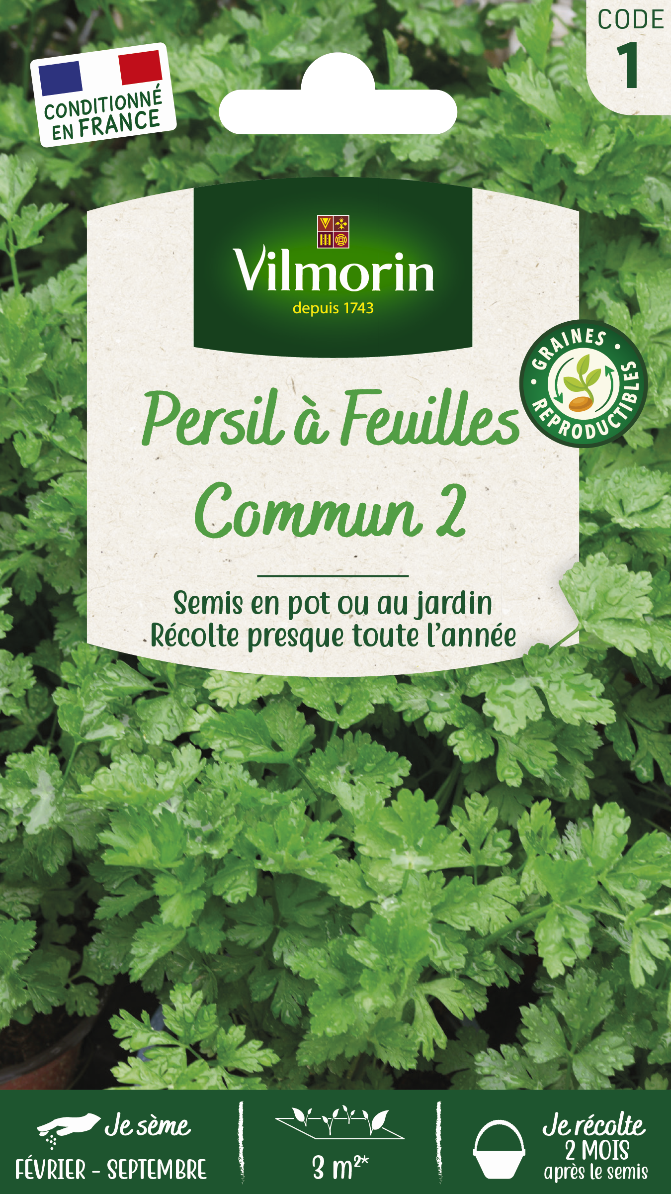 Graines de persil VILMORIN 5 g | Leroy Merlin