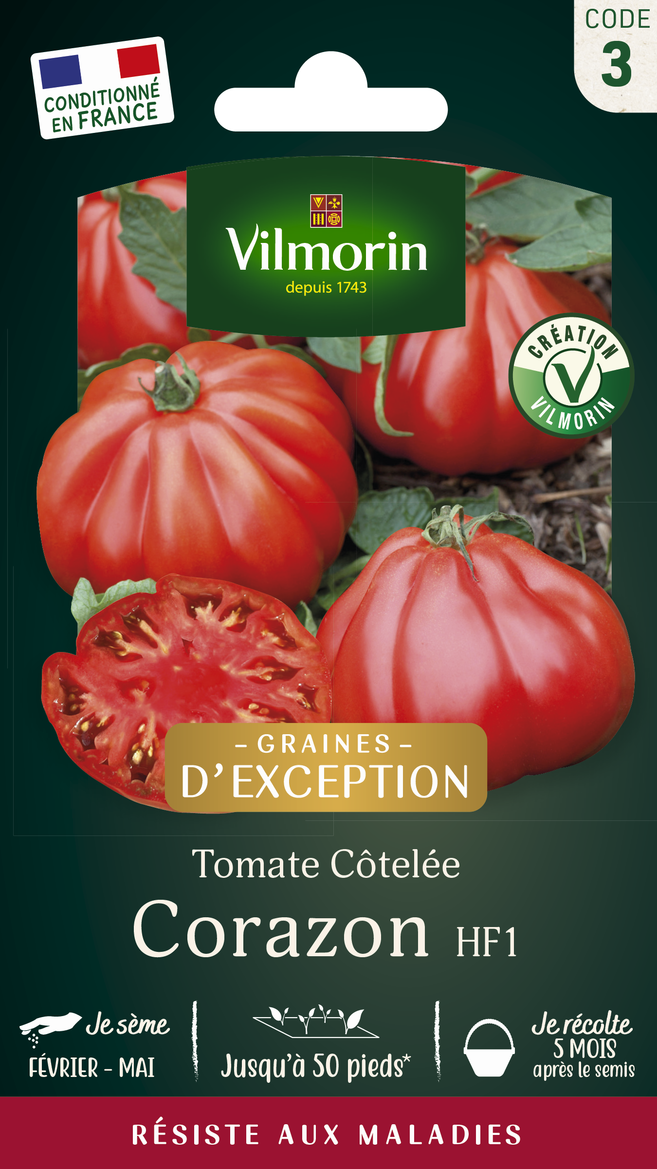 Graines de tomate VILMORIN 0.2 g | Leroy Merlin