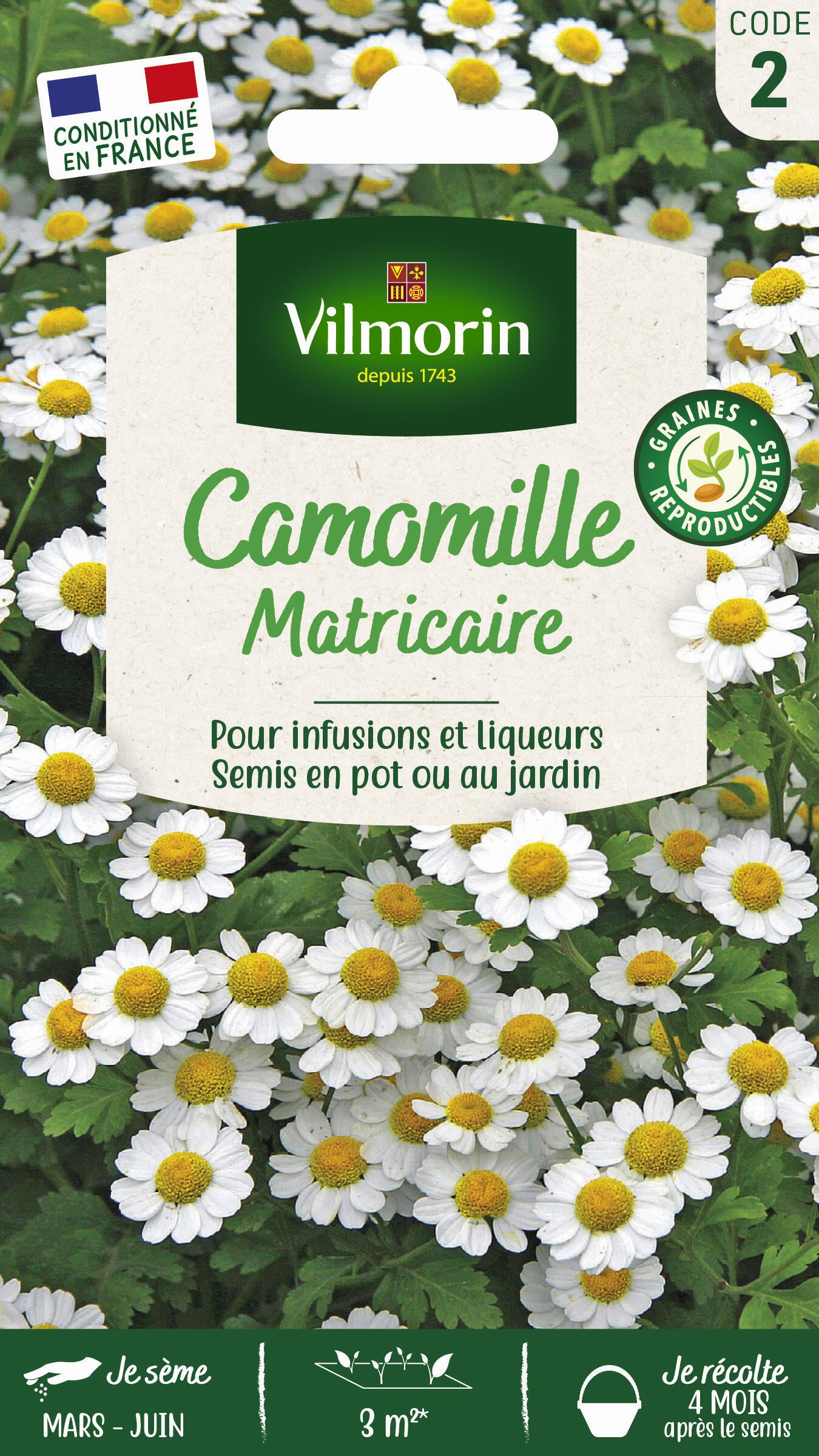 Graines de camomille VILMORIN 0.5 g | Leroy Merlin