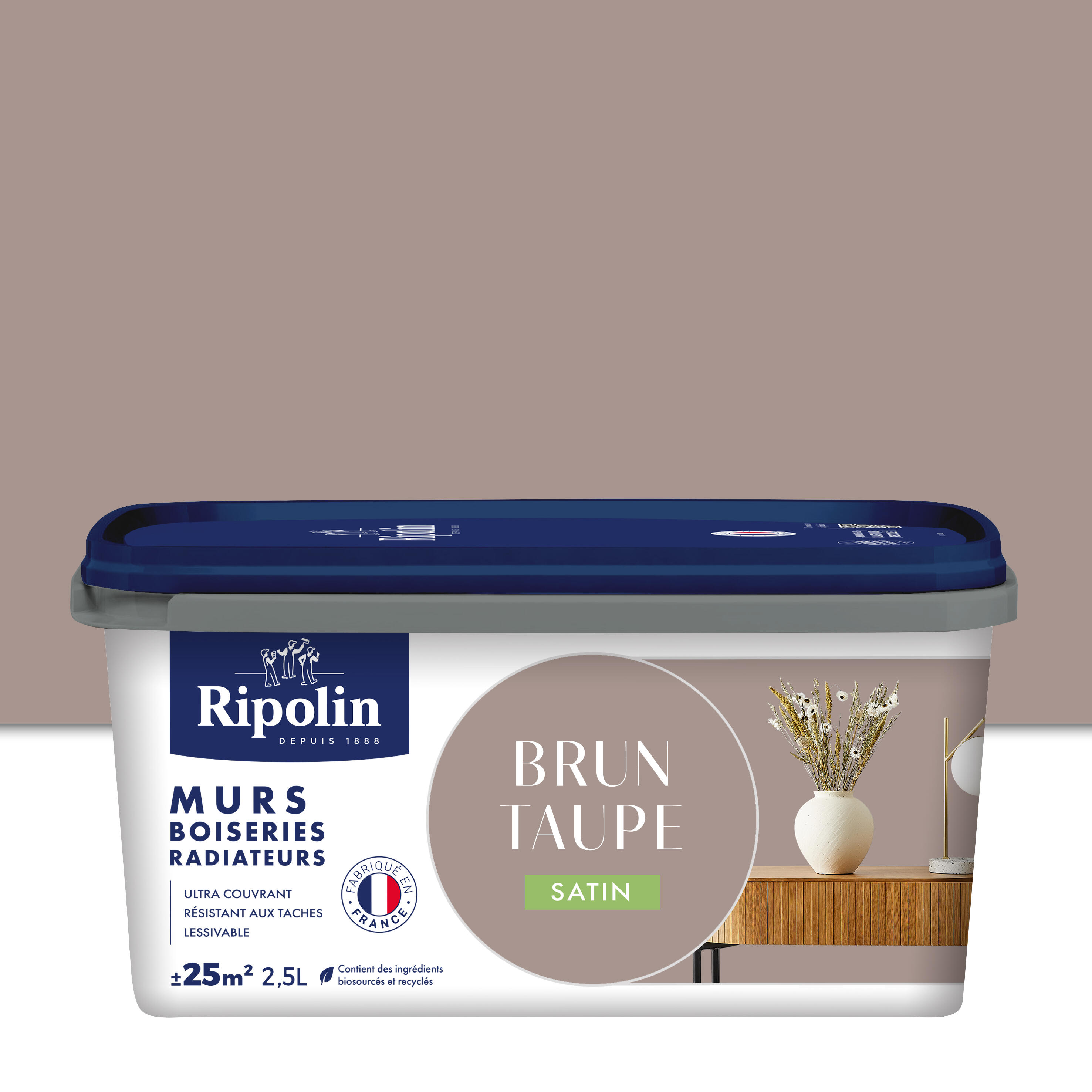 Peinture mur brun taupe satin RIPOLIN 480233 2.5l | Leroy Merlin