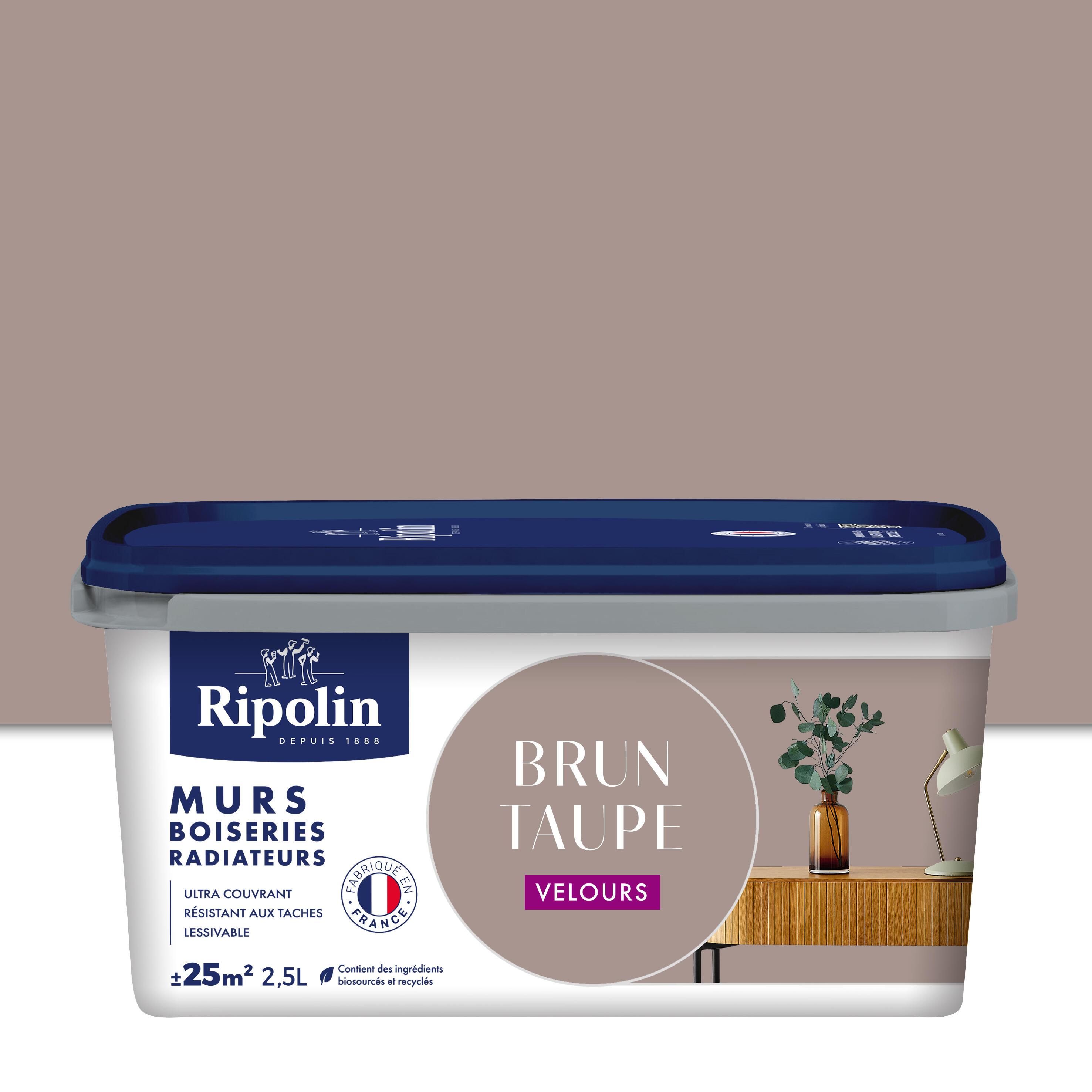 Peinture mur brun taupe velours RIPOLIN 480260 2.5l | Leroy Merlin