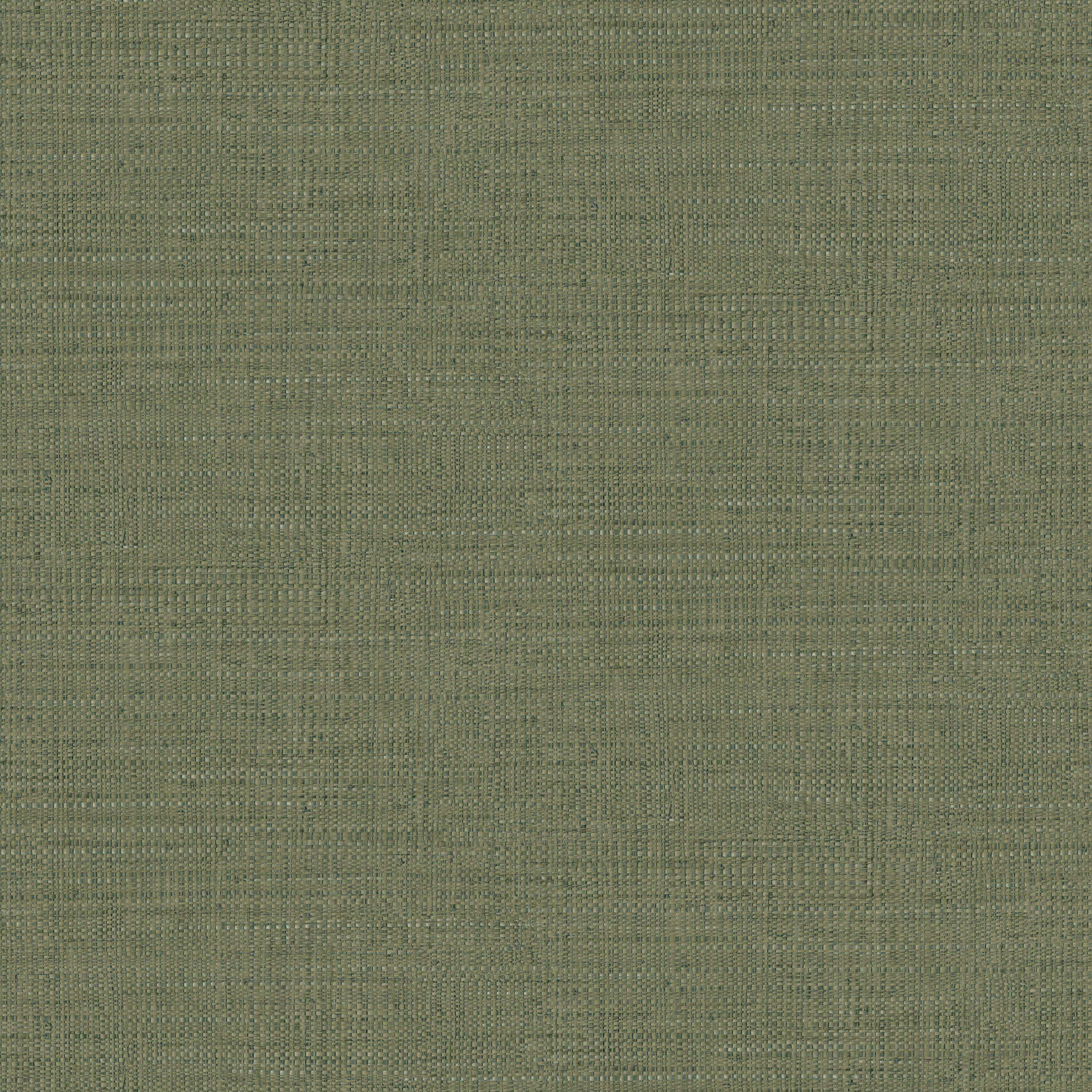 Papier peint intissé Matieres sisal vert mousse | Leroy Merlin