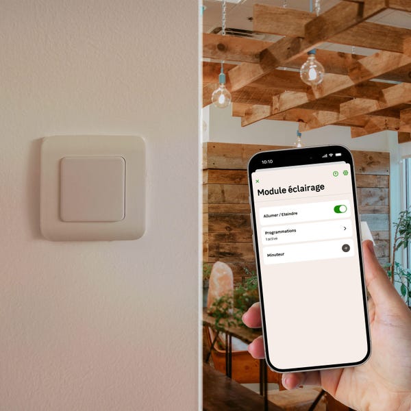 Interrupteur Sans Fil Et Module éclairage Programmable Dio Leroy Merlin