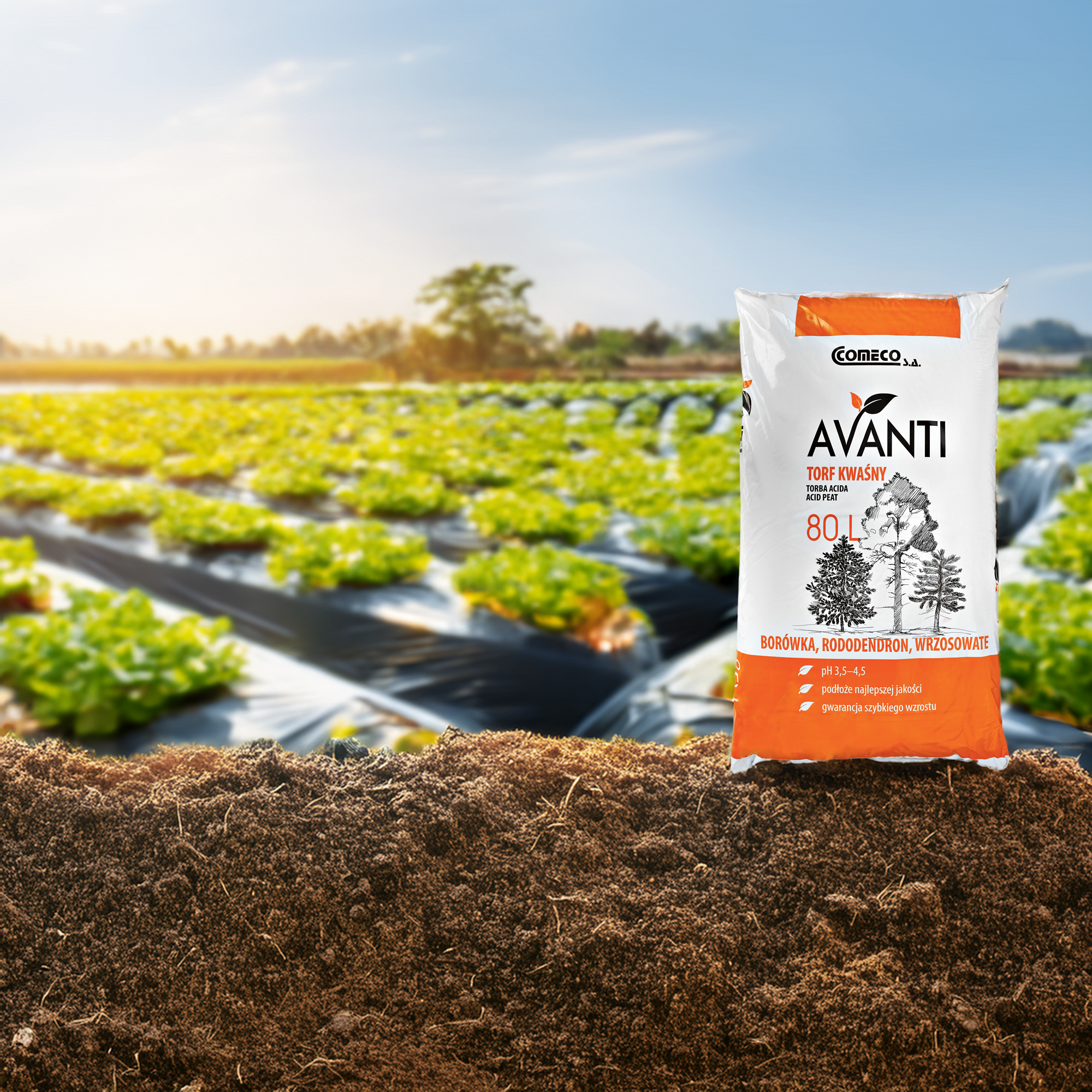 Torf ogrodniczy kwaśny 80l Avanti - Leroy Merlin