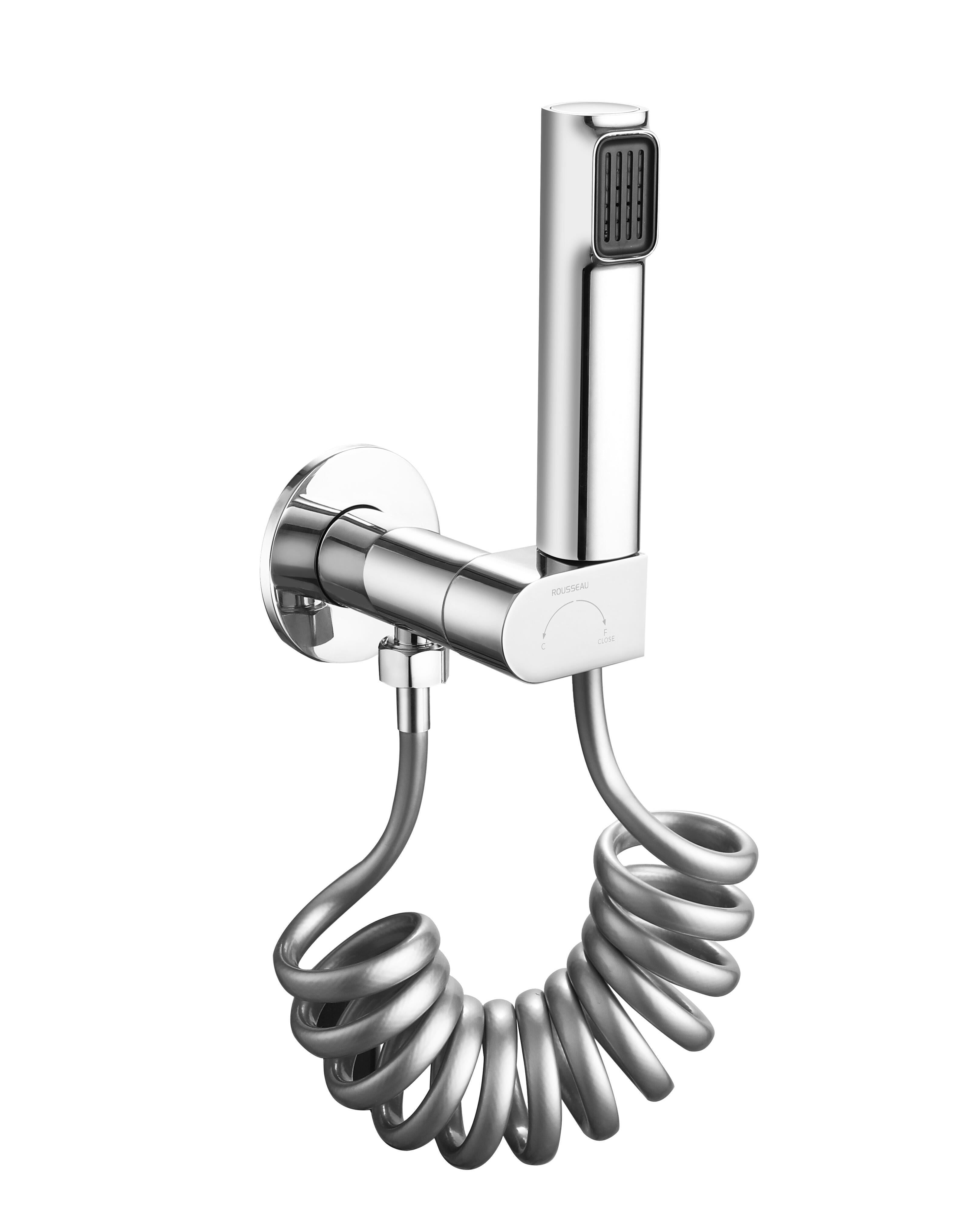 Ducha inodoro EDOUARD ROUSSEAU plata | Leroy Merlin