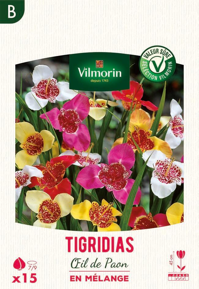 Bulbe tigridia mix pochette de 15 série B calibre 7/9 Vilmorin | Leroy ...