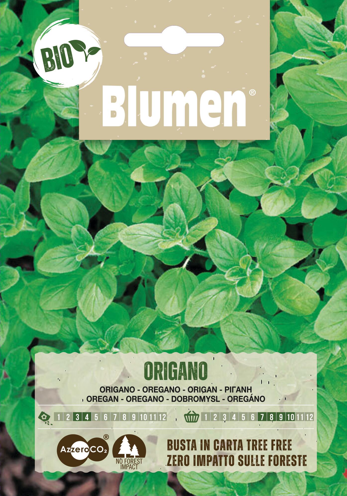 Semi aromatici Origano | Leroy Merlin