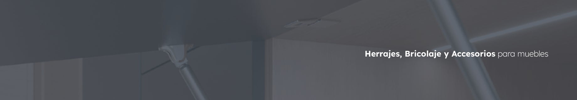 M.Pascual | Leroy Merlin