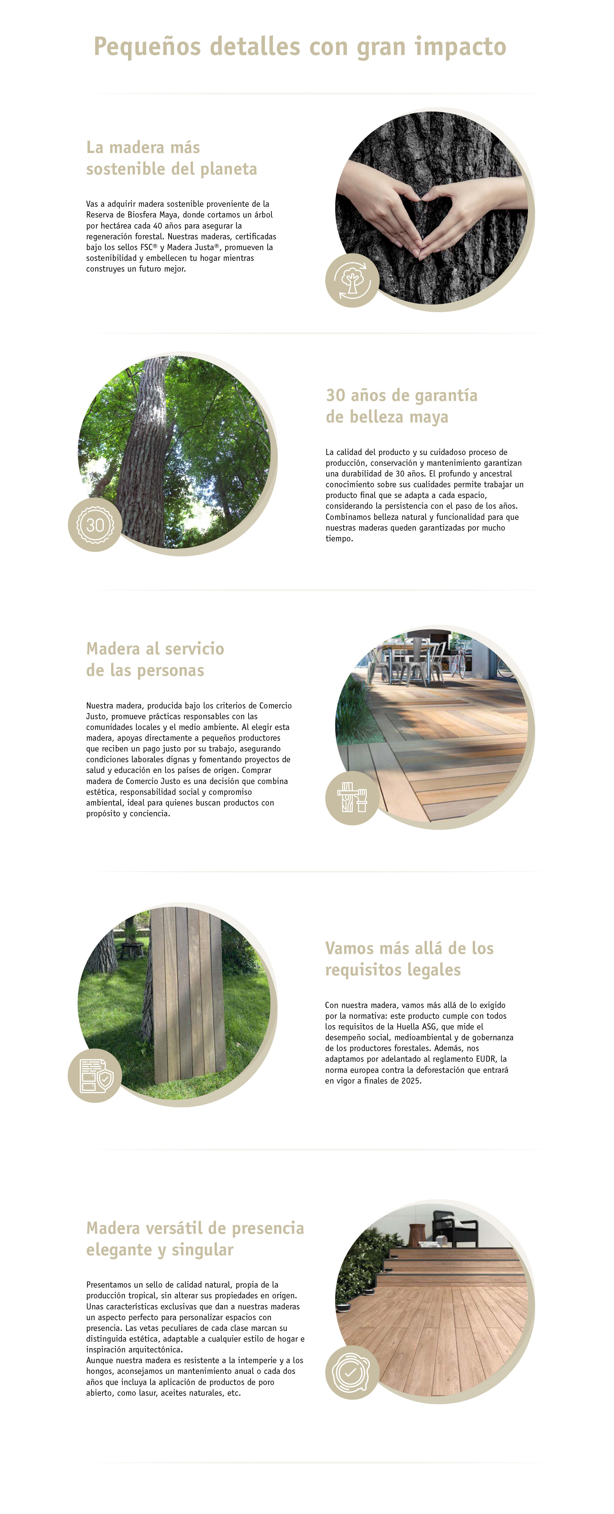 Revestimiento de madera Pucte/Machiche 21x153x408 | Leroy Merlin