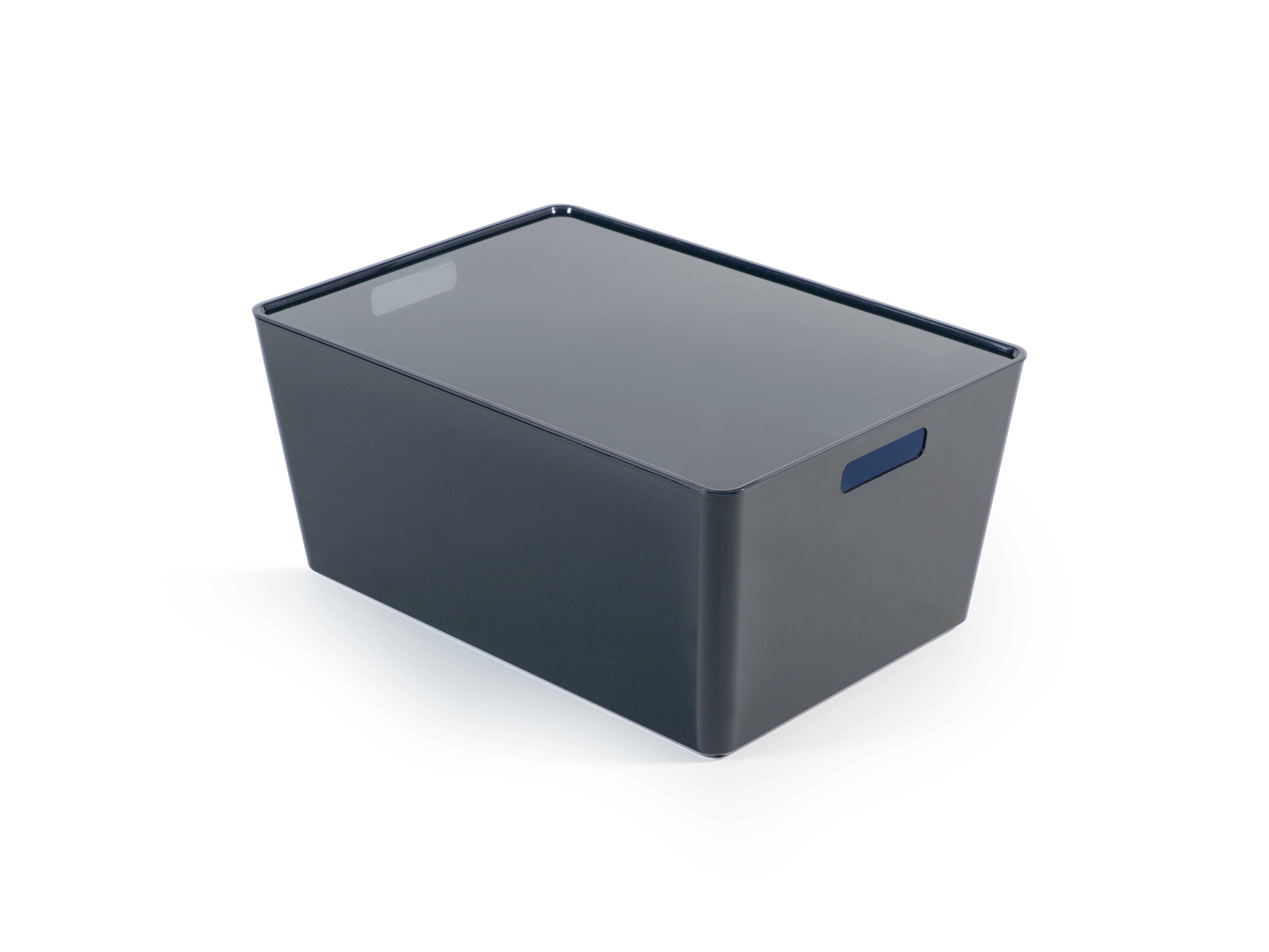 Contenitore R-Box 22L L 47 x H 21 x P 33 cm fumé | Leroy Merlin