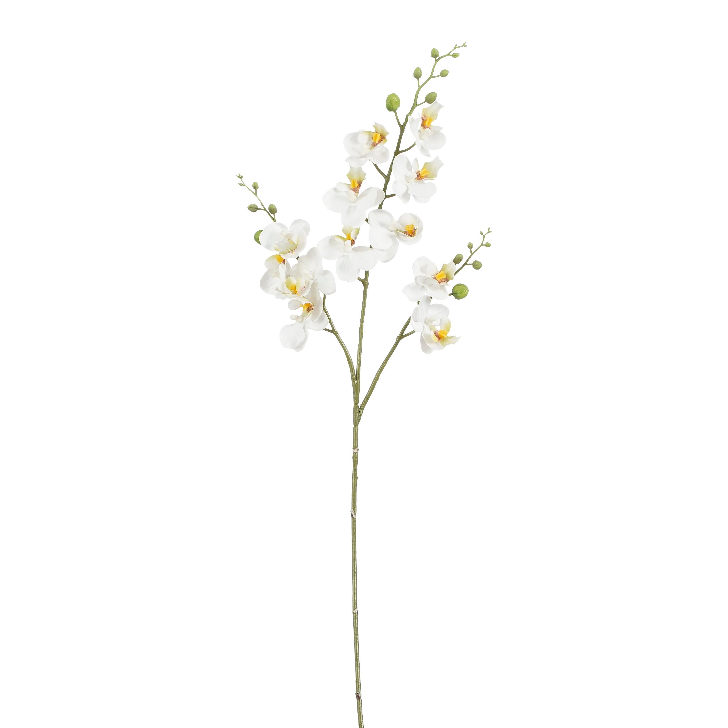 Vara artificial phalaenopsis blanco de 75 cm de altura | Leroy Merlin