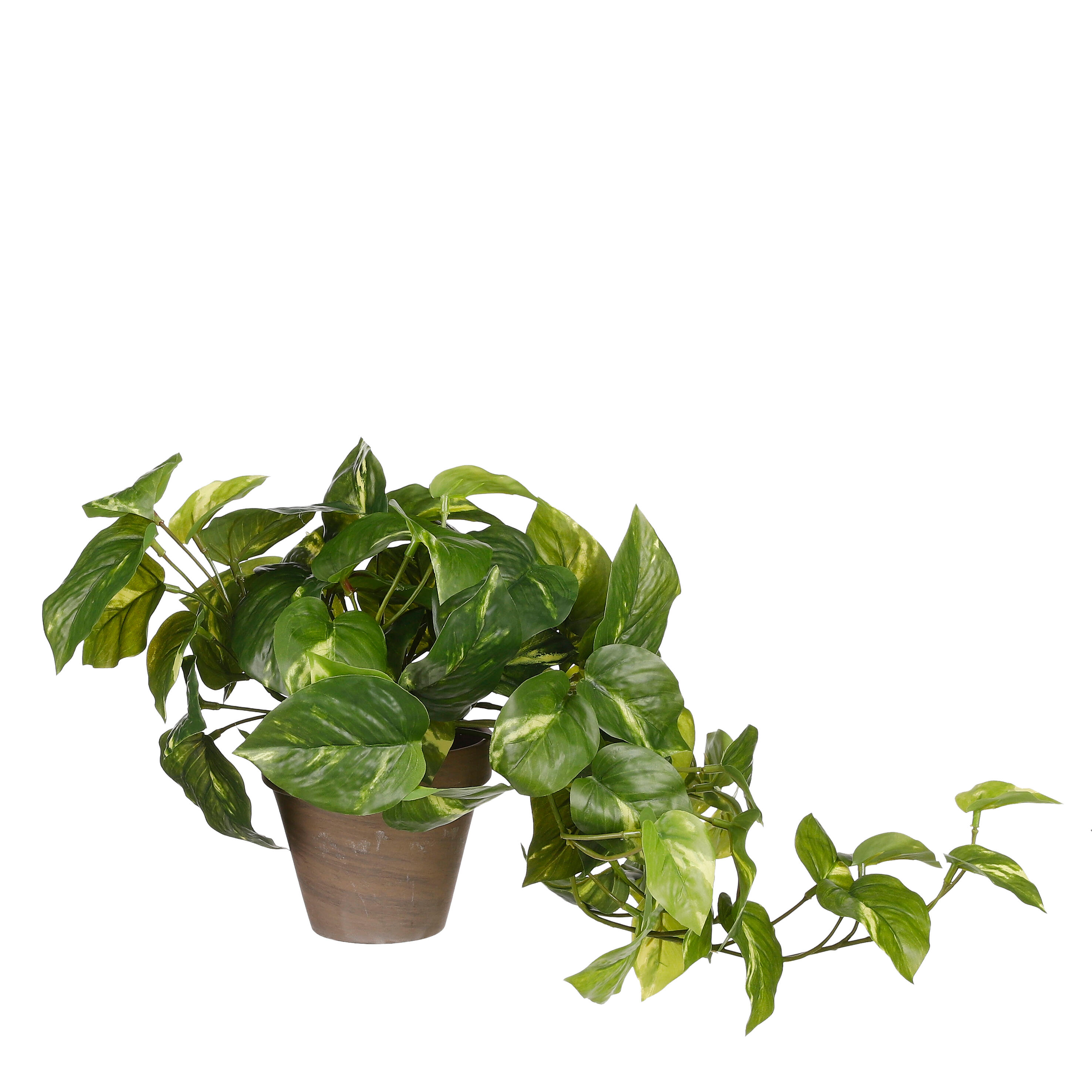 Planta artificial mac potos Planta 12cm | Leroy Merlin