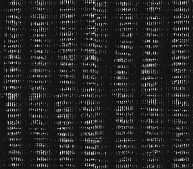 Store enrouleur tamisant 1247 transparent noir, l.55 x H.190 cm ...