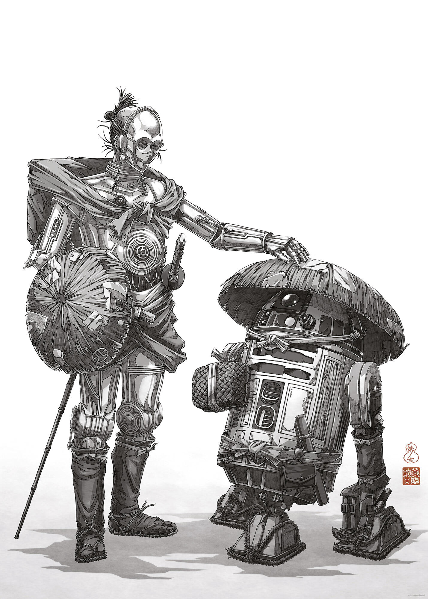 Affiche Star Wars Vision Samurai Droids l.50 x H.70 | Leroy Merlin